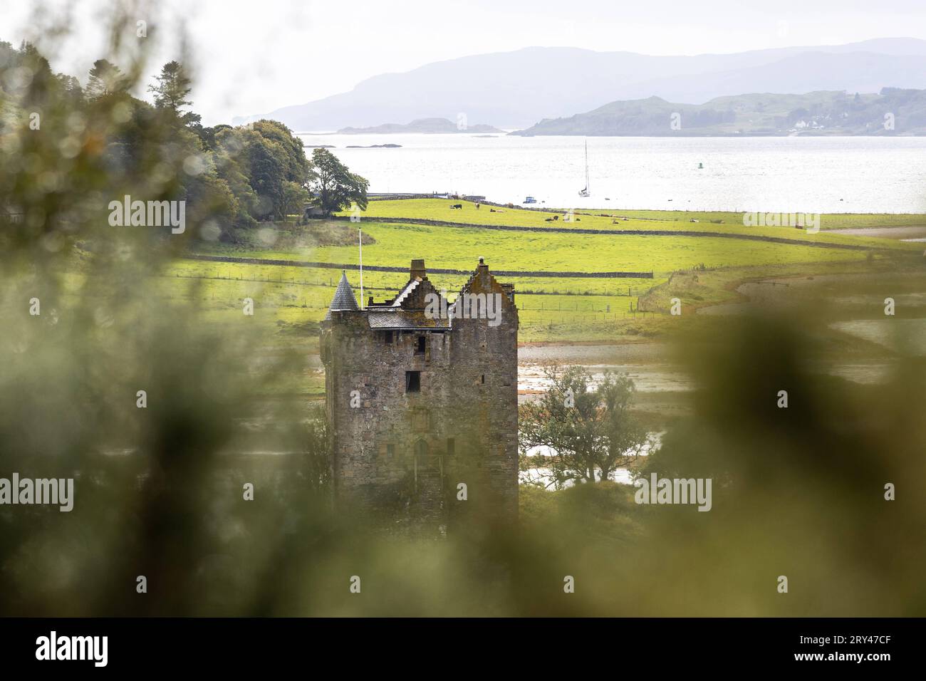 Die Burg Castle Stalker aus dem 14. Jahrhundert in Appin in Schottland ...