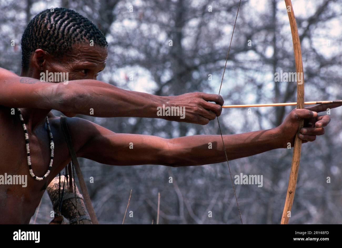 Bushman with bow and arrow, San, Bushmen, Bushmen, Kalahari, Namibia ...