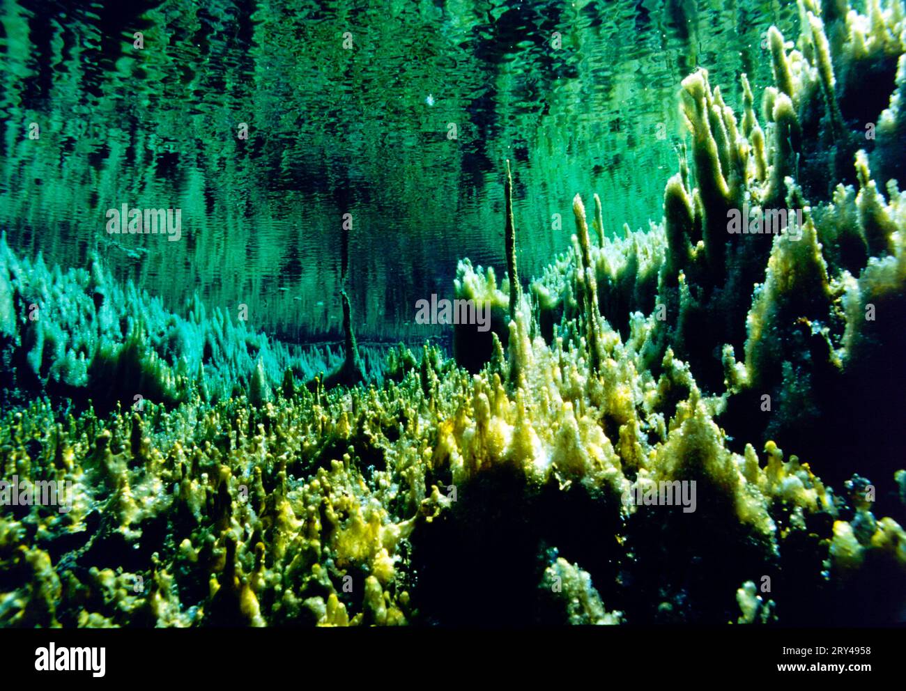 Horizontal format horizontal format landscape format hi-res stock ...