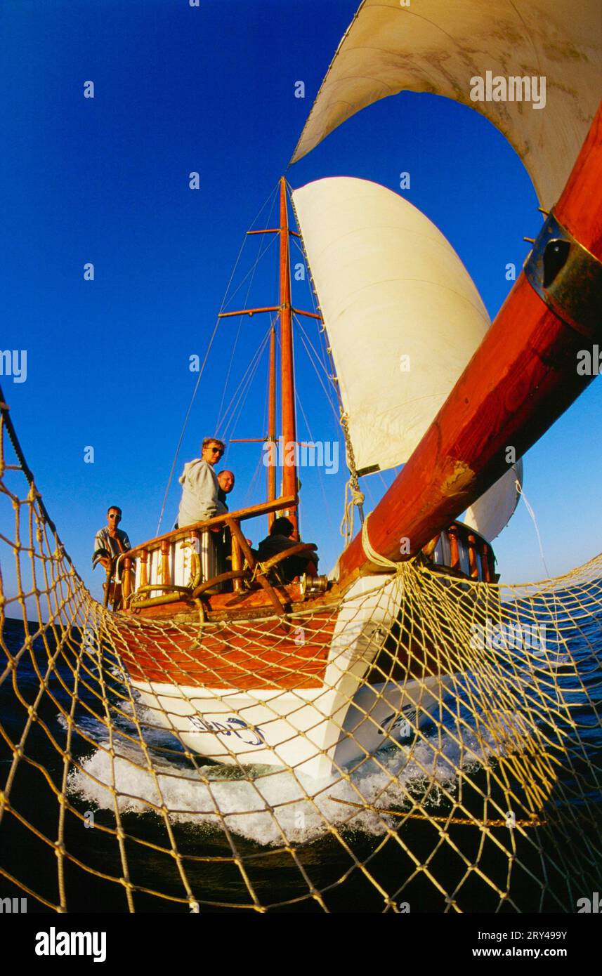 Sailing Ship, Red Sea, Egyp, sailboat, Red Sea, boat, boat, frontal ...