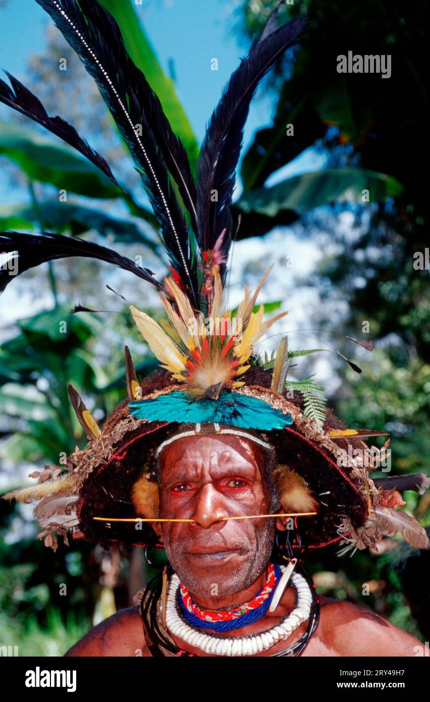 Huli man, Tari, Papua New-Guinea, Huli-Perueckenmann, Asia, Menschen ...