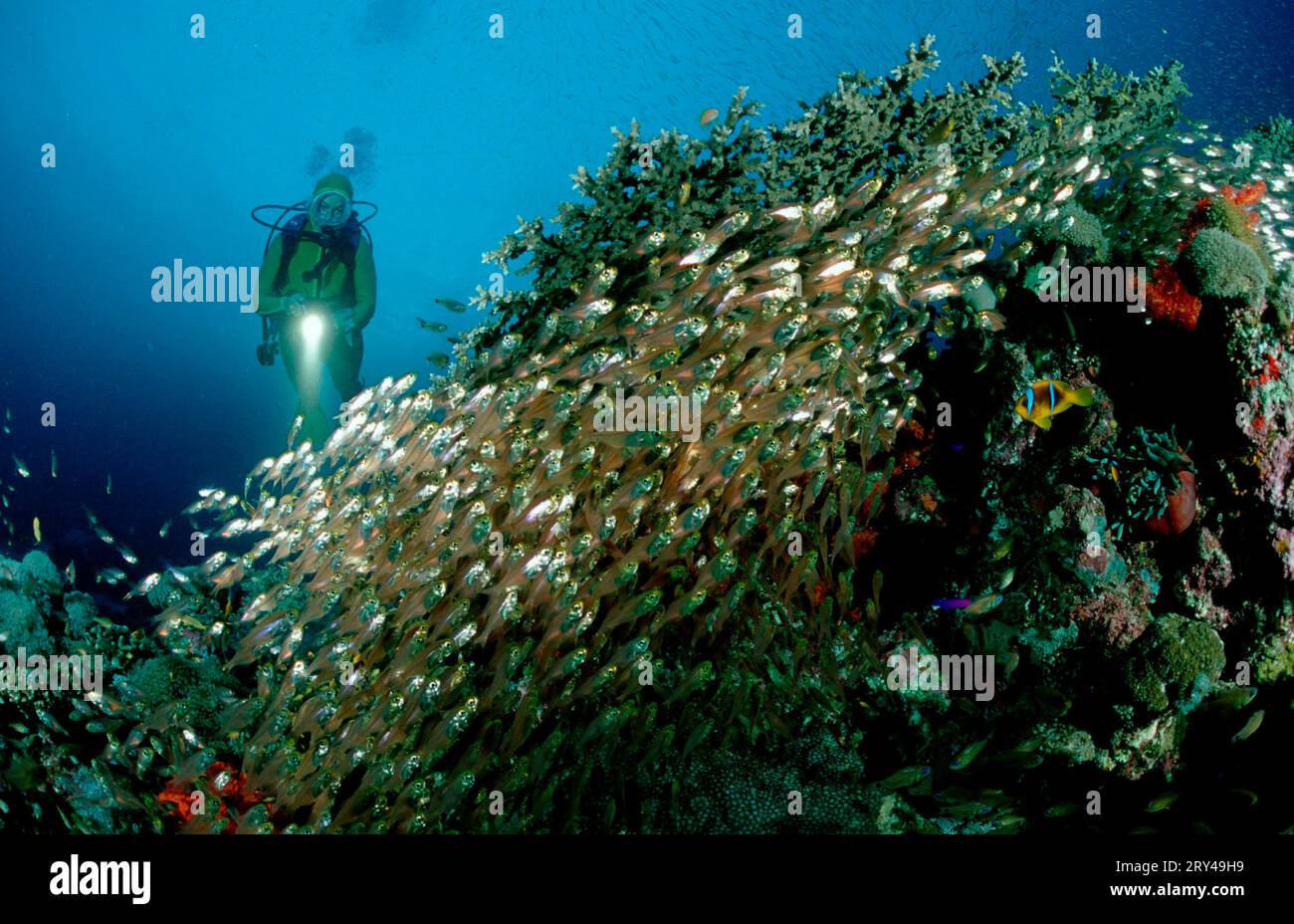 Indian sweeper hi-res stock photography and images - Alamy