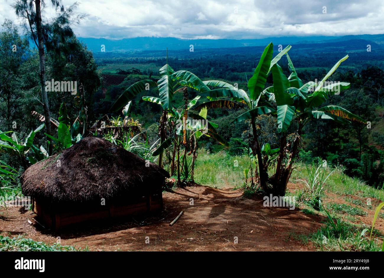 Huli hut, Tari, Papua New Guinea, Huli hut, asia, landscape, horizontal ...