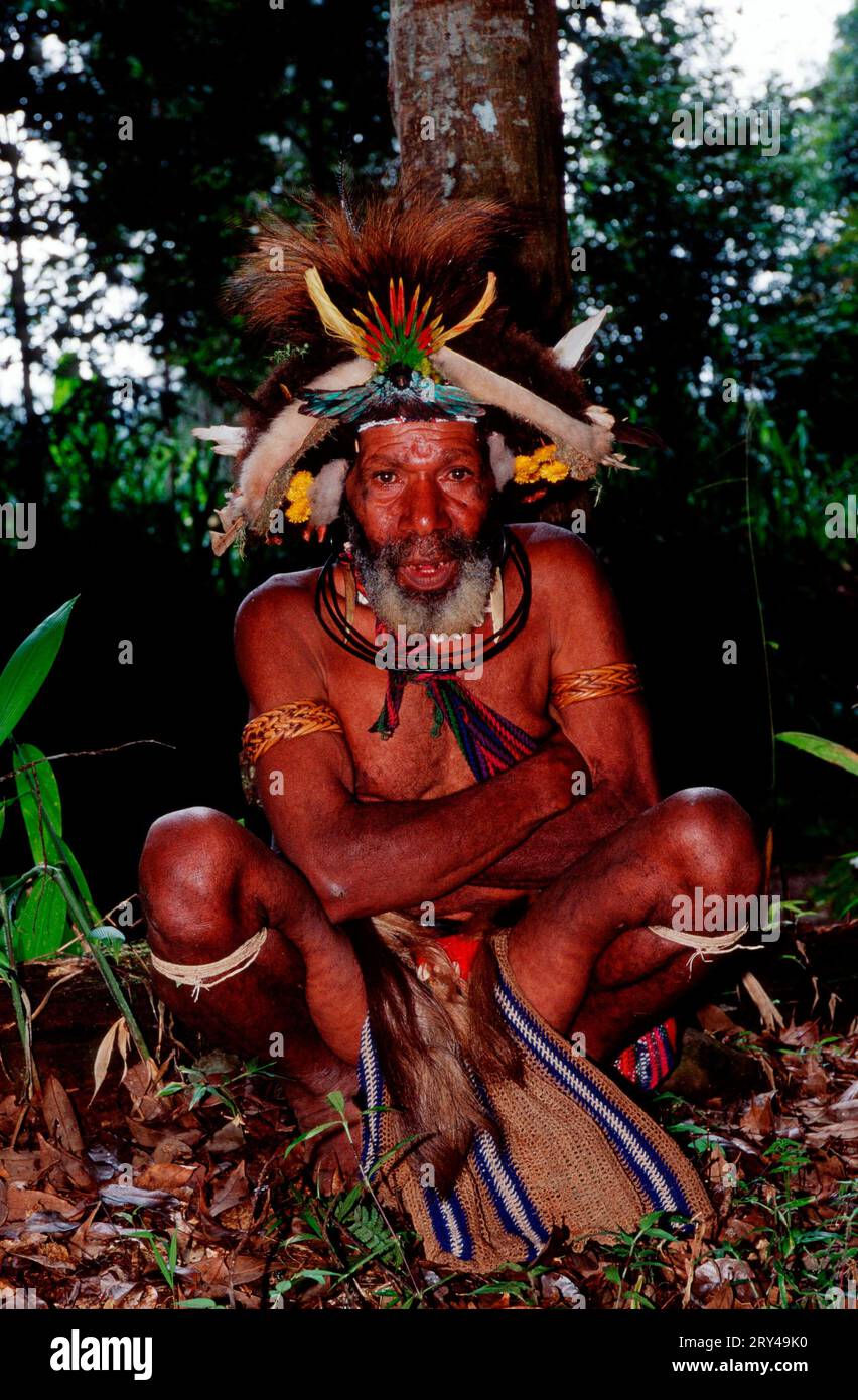 Huli man, Tari, Papua New-Guinea, Huli-Perueckenmann, Asia, Menschen ...