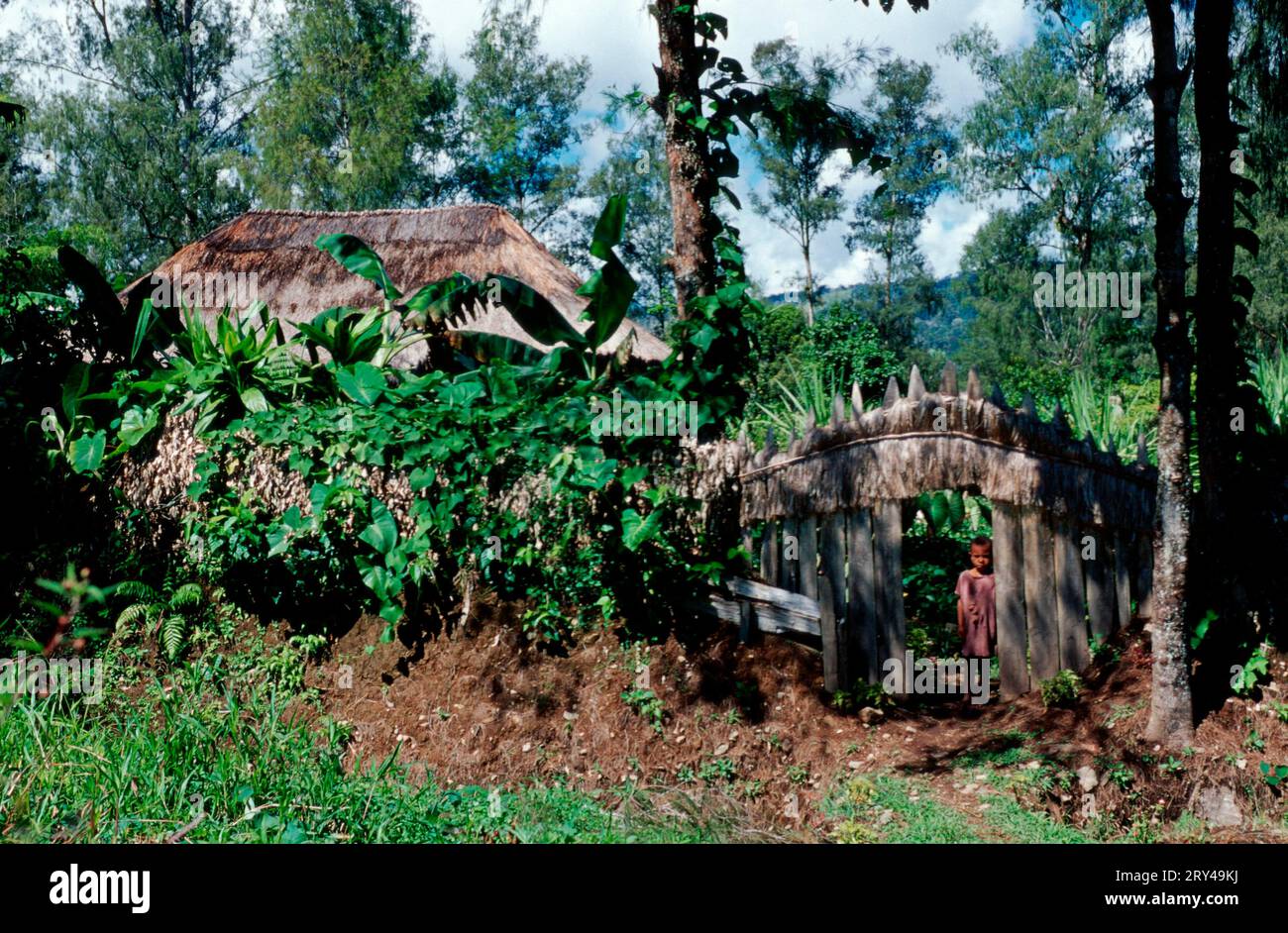 Huli village, Tari, Papua New-Guinea, Huli village, asia, landscape ...
