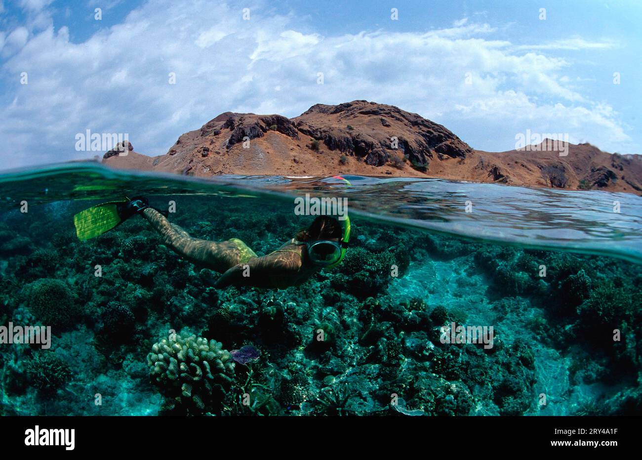 Snorkeler, Komodo, Komodo national park, Indonesia, snorkeling off ...