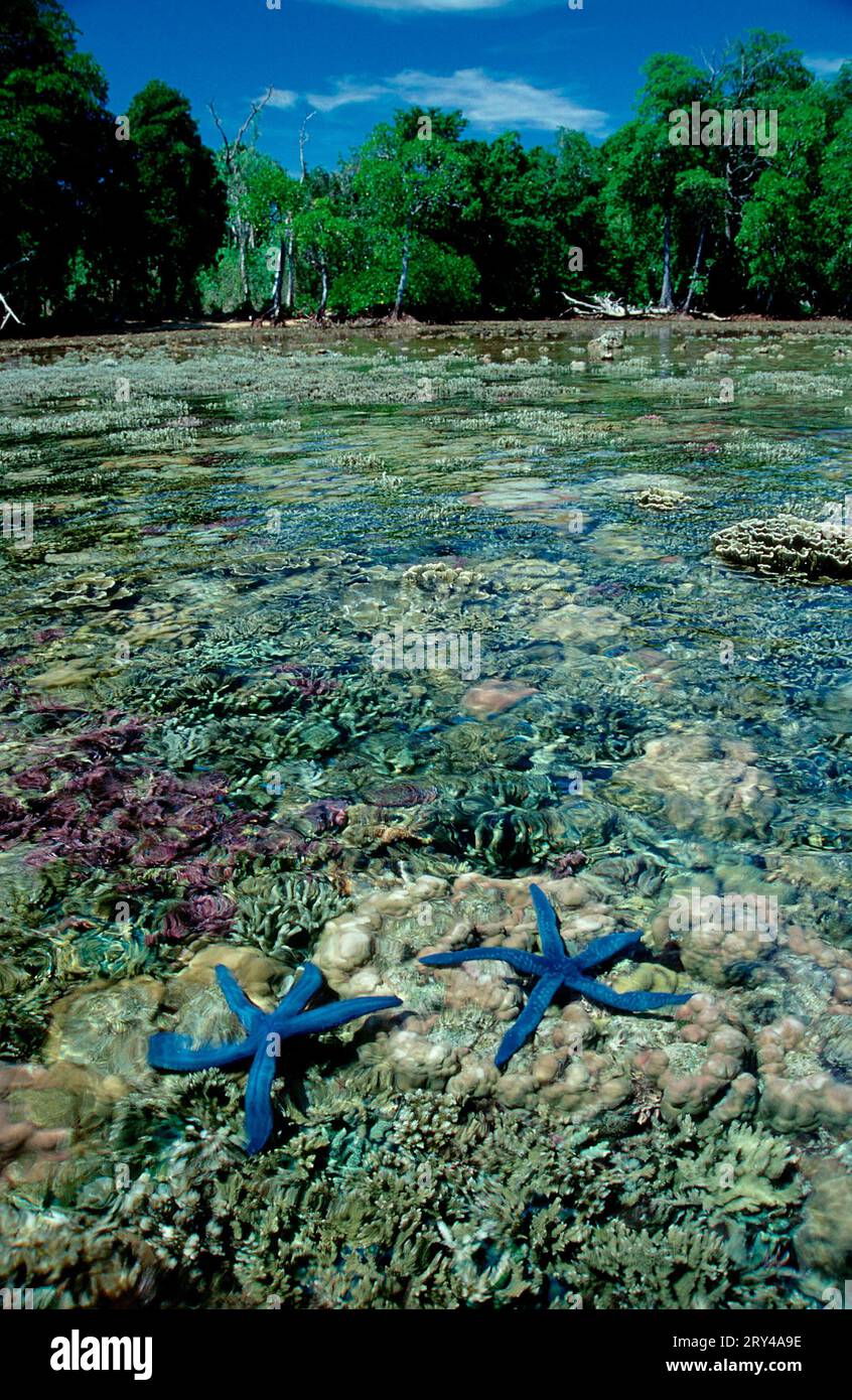 Ireland and indonesia hi-res stock photography and images - Alamy