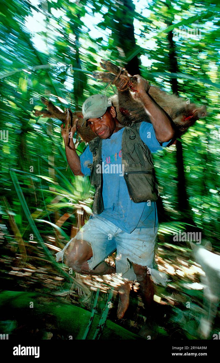 Hunter with wild boar, Hoskins, New Britain, Papua-New Guinea, Hunter ...