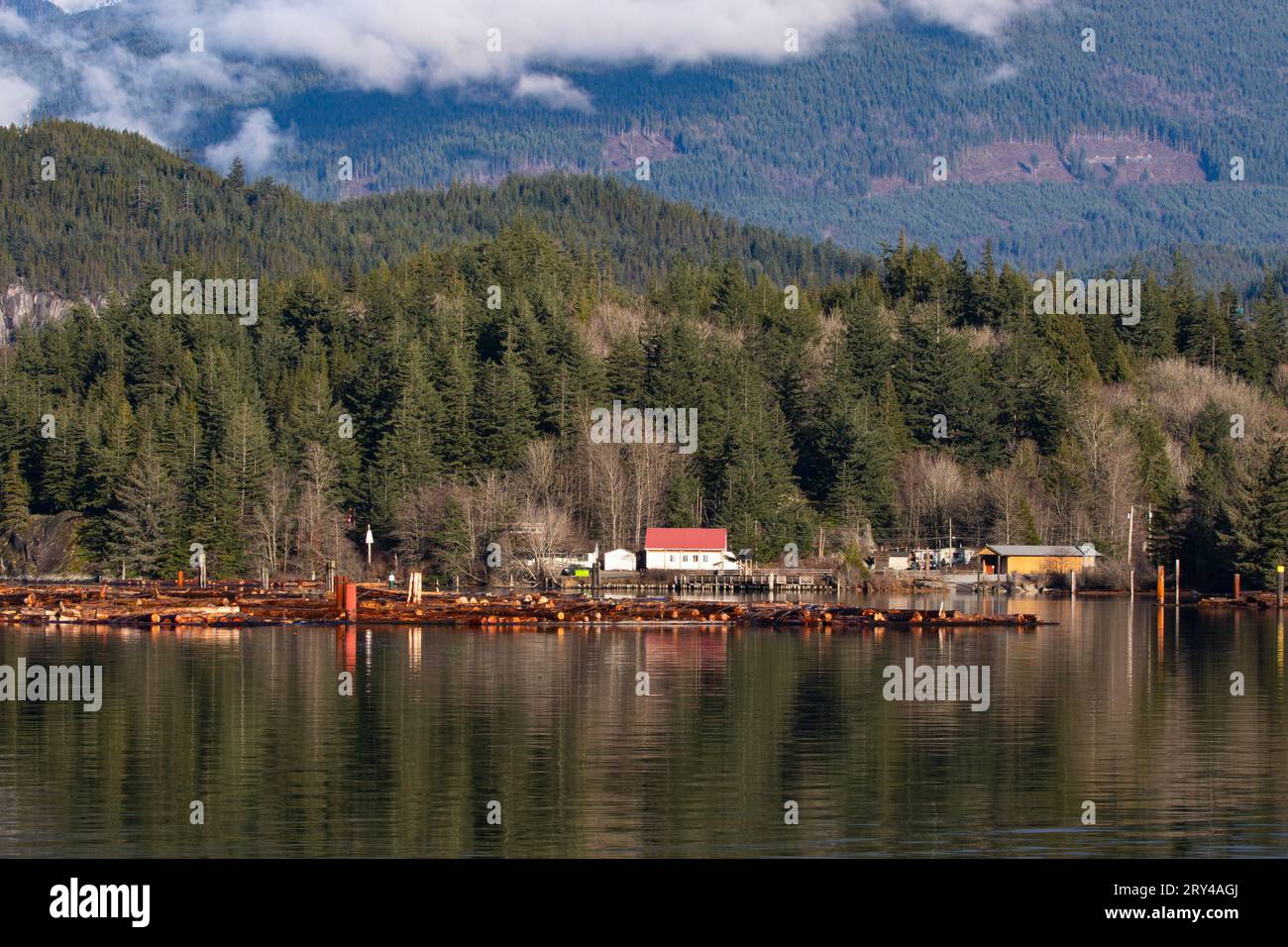 Logging industry canada logs hi-res stock photography and images - Alamy
