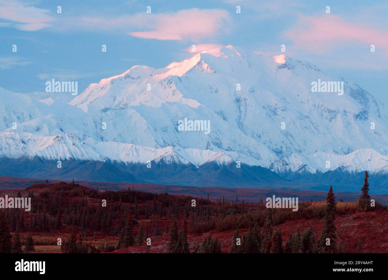 Mt. McKinley, Denali National Park, Alaska, USA Stock Photo - Alamy