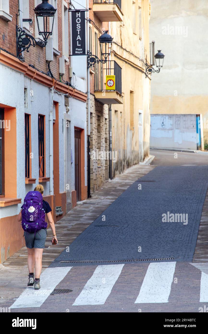 Pilgrims walking the Camino de Santiago, the way of St James pilgrimage ...