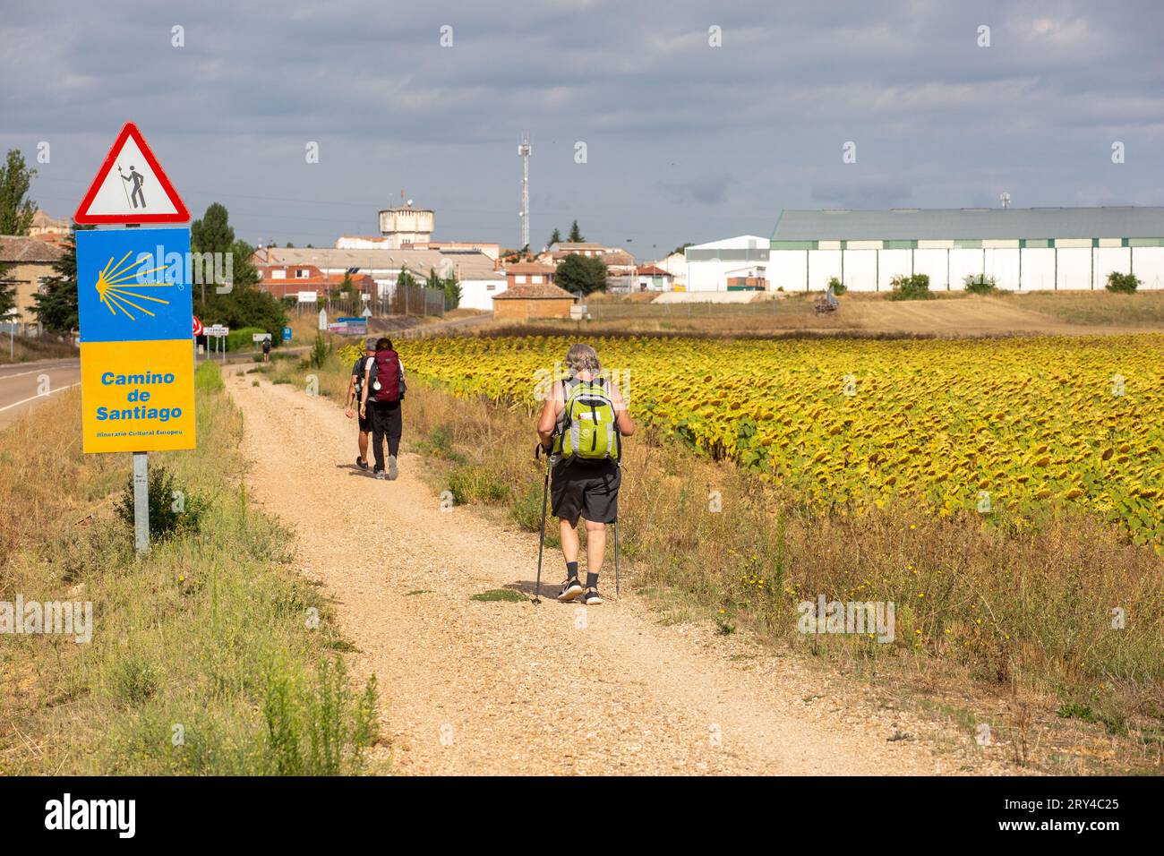 Pilgrims walking the Camino de Santiago, the way of St James pilgrimage ...