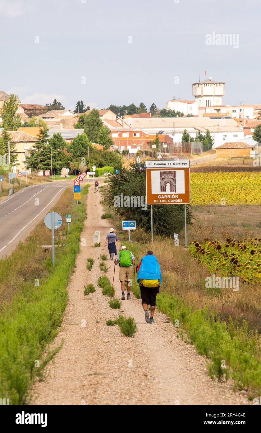 Pilgrims walking the Camino de Santiago, the way of St James pilgrimage ...