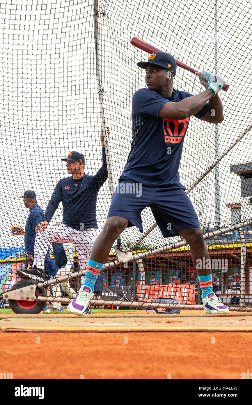 Dutch baseball team hi-res stock photography and images - Alamy