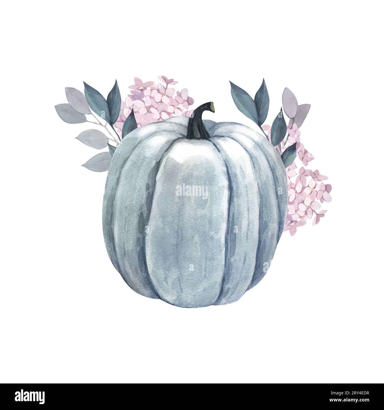 Watercolor realistic whole fresh blue pumpkin. Hand-drawn illustration ...