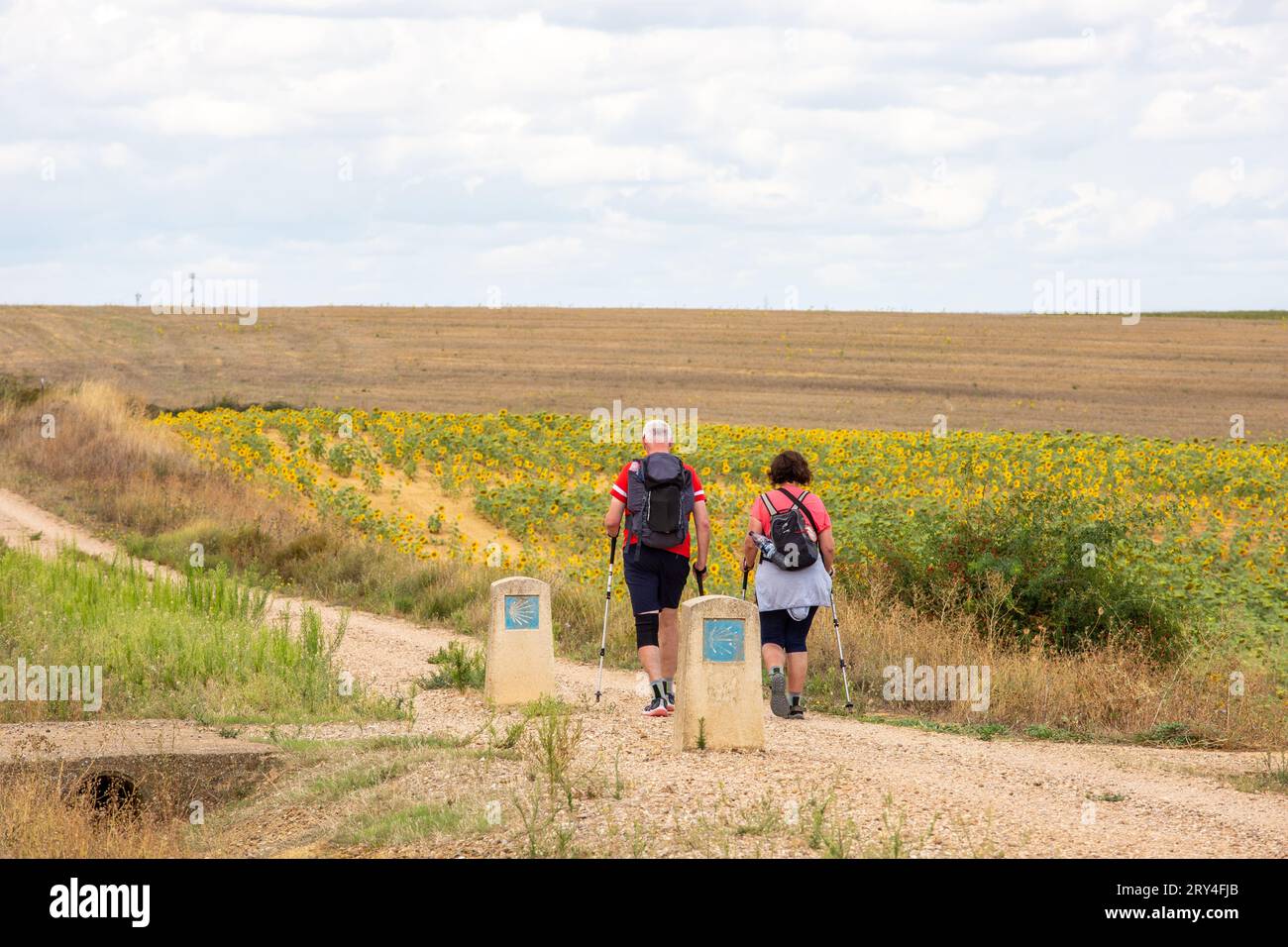 Pilgrims walking the Camino de Santiago pilgrimage route, the way of St ...