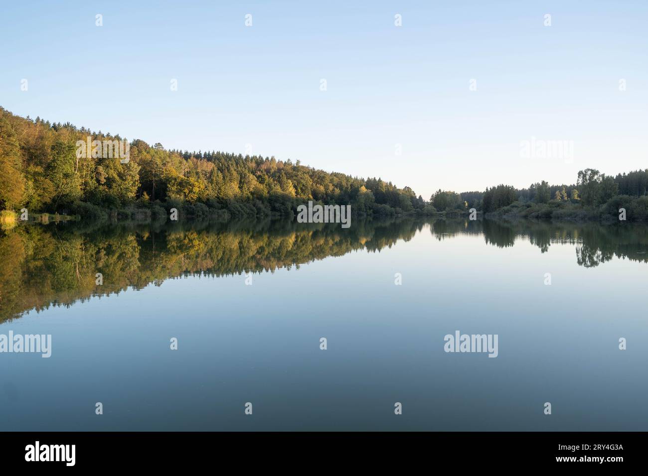 Perfect forest spring water hi-res stock photography and images - Alamy