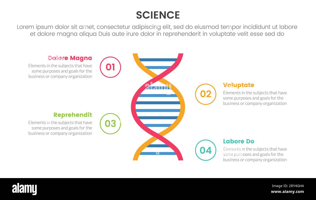 health and science research infographic 4 point stage template with dna ...