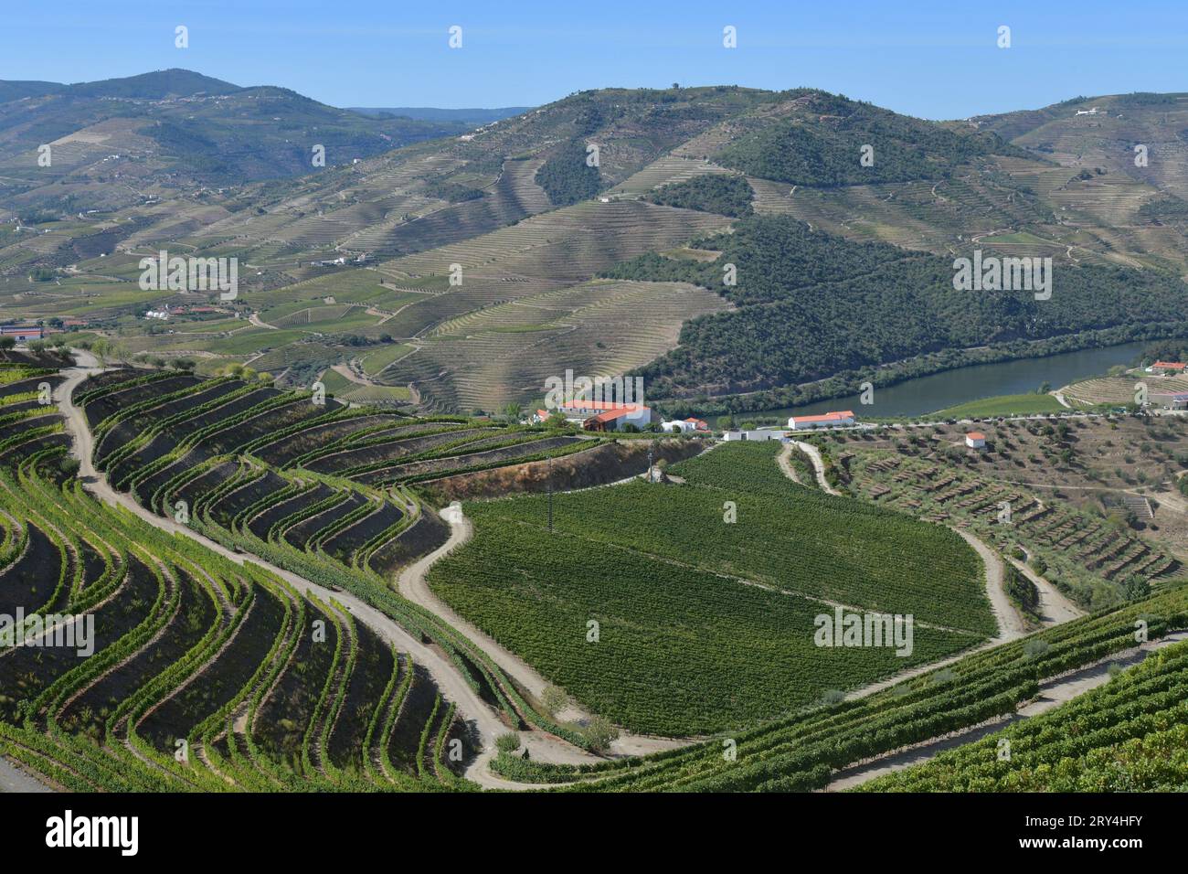 vineyards and charming native farms cling to the steep sides of the ...