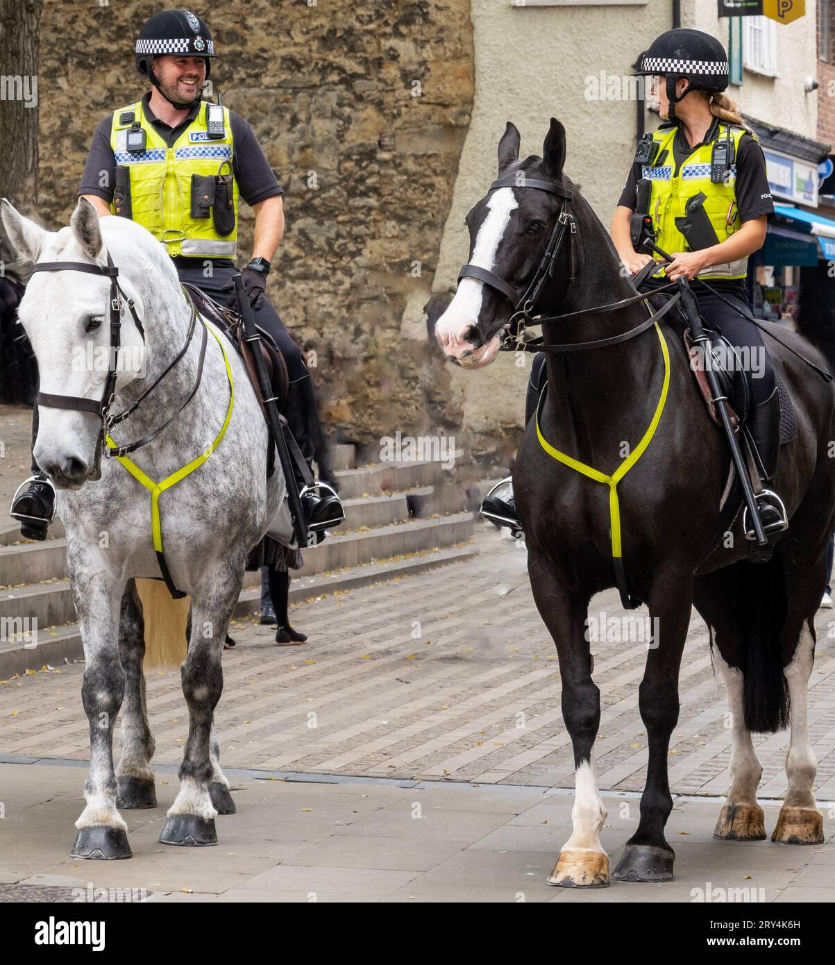 Two police horses ridden by male and female mounted officers in side ...