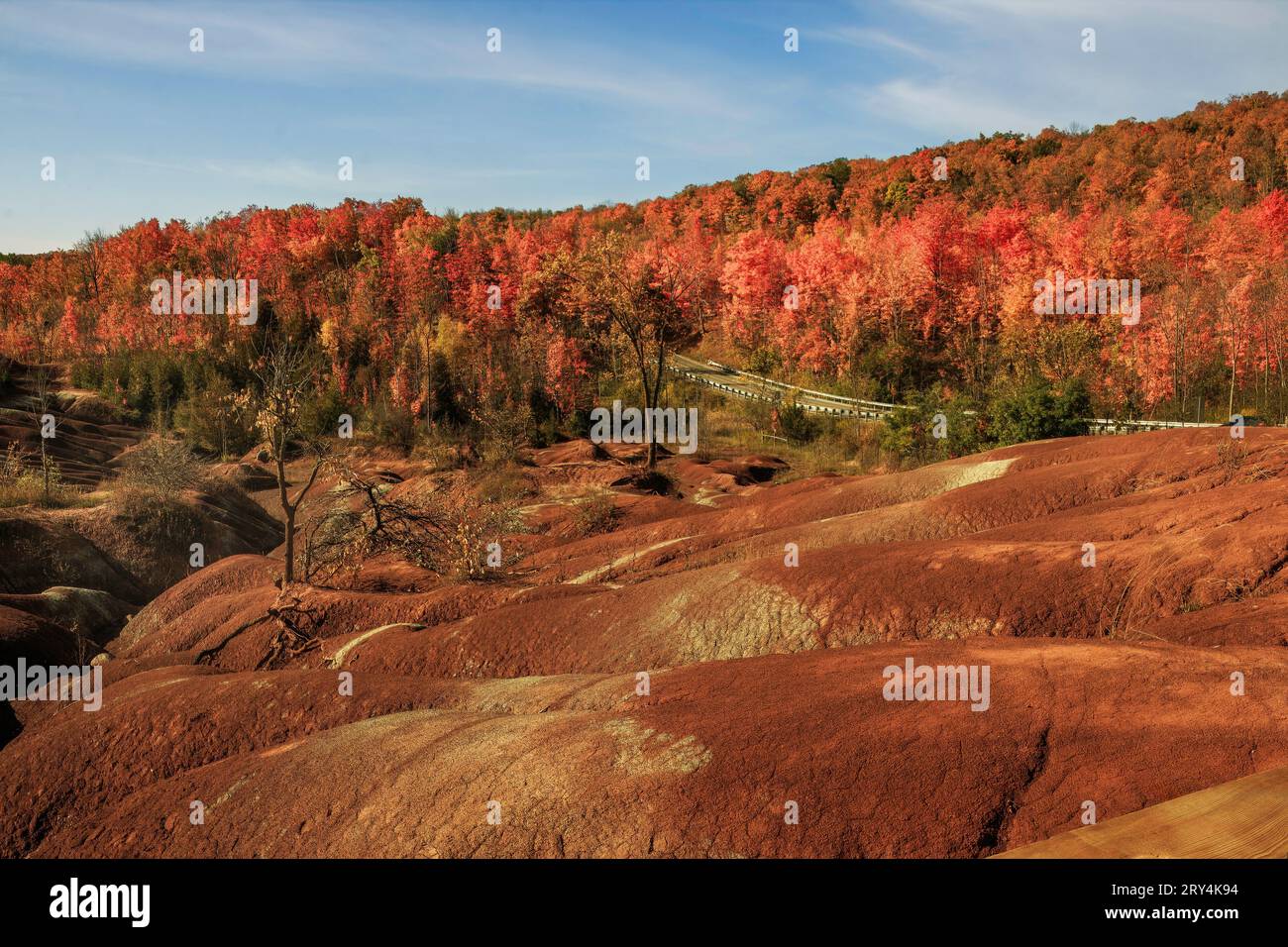 Autum in Cheltenham Badlands in Caledon, Ontario Canada,, canadian fall ...