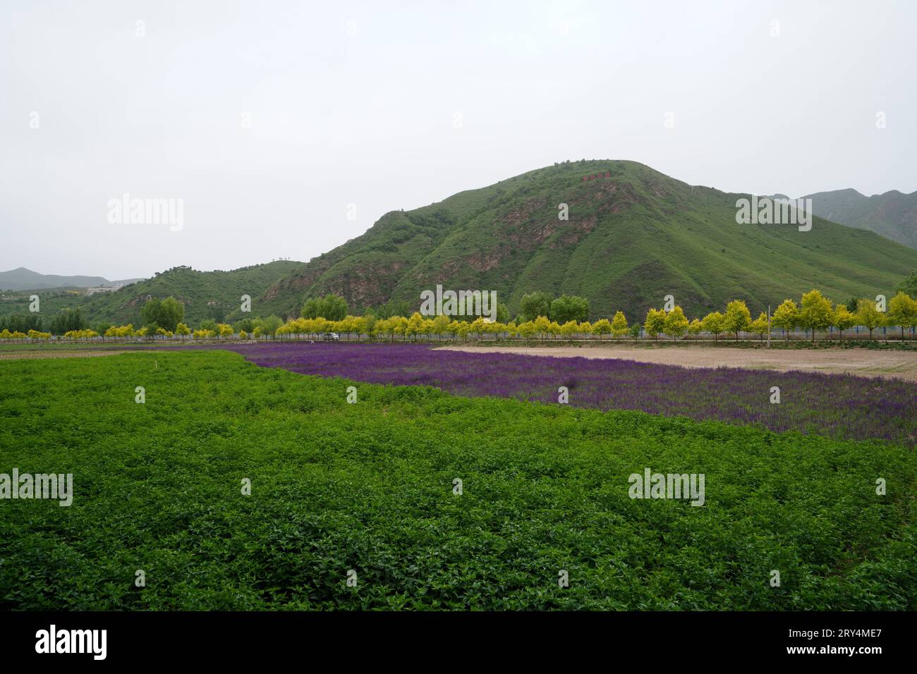 Natural Scenery of Mountain Areas in North China Stock Photo - Alamy