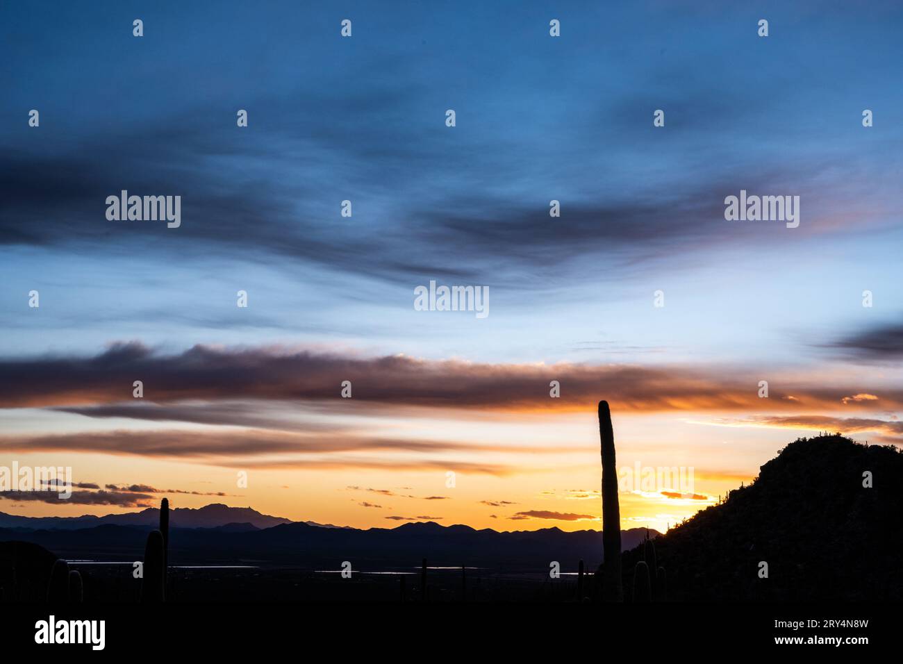 Wisps of Clouds Fading With Sunset to Night over Saguaro National Park ...