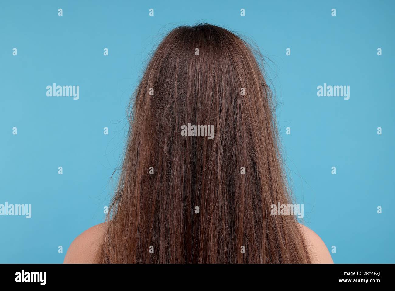 Woman with damaged messy hair on light blue background, back view Stock ...