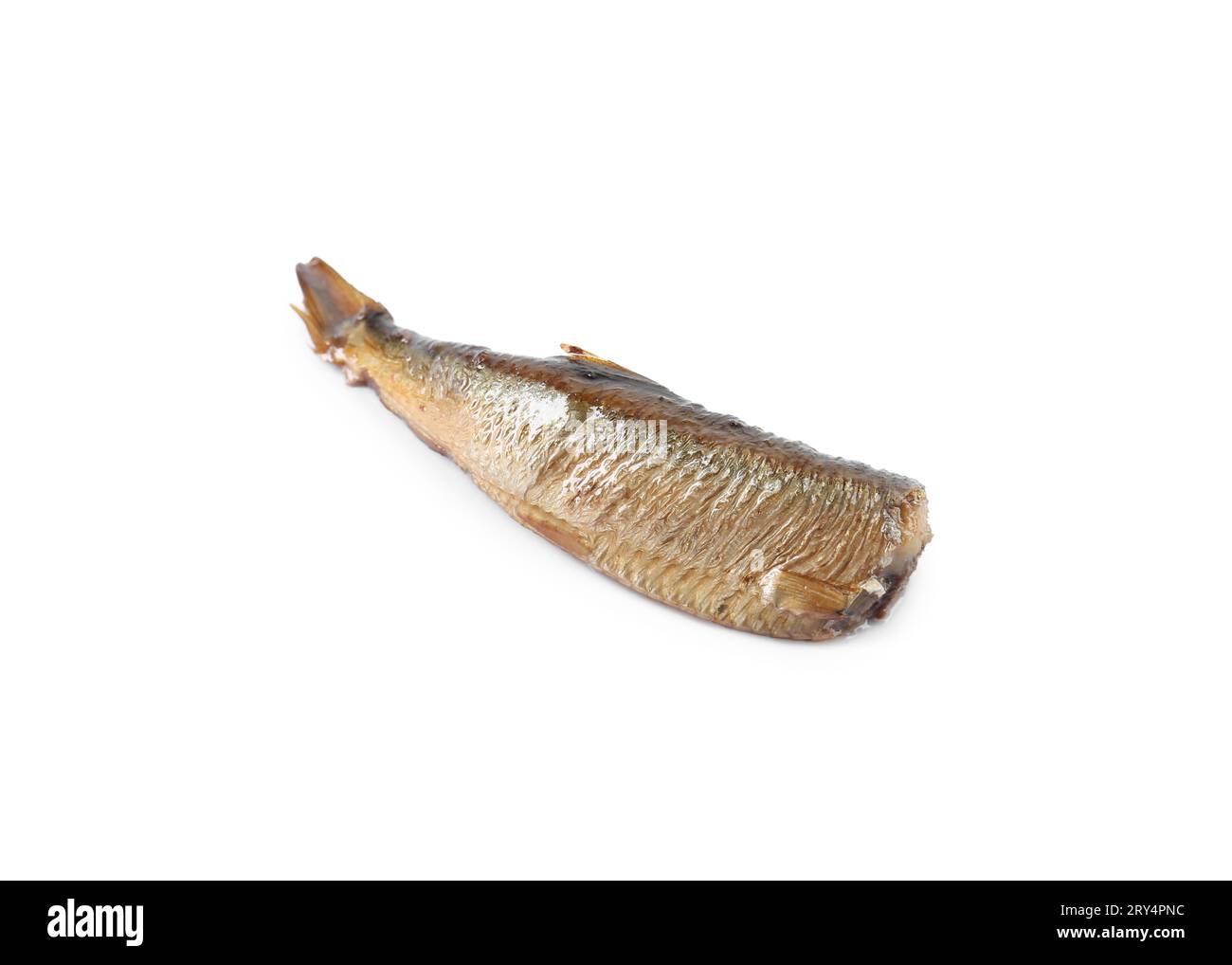 Sprat isolated hi-res stock photography and images - Alamy