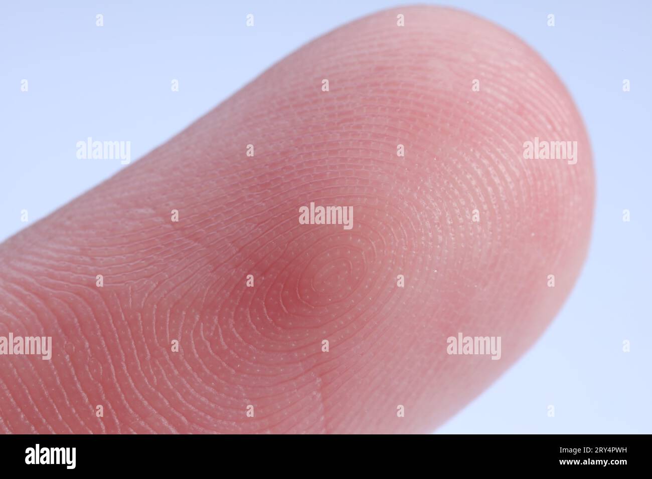 Finger with friction ridges on light blue background, macro view Stock ...