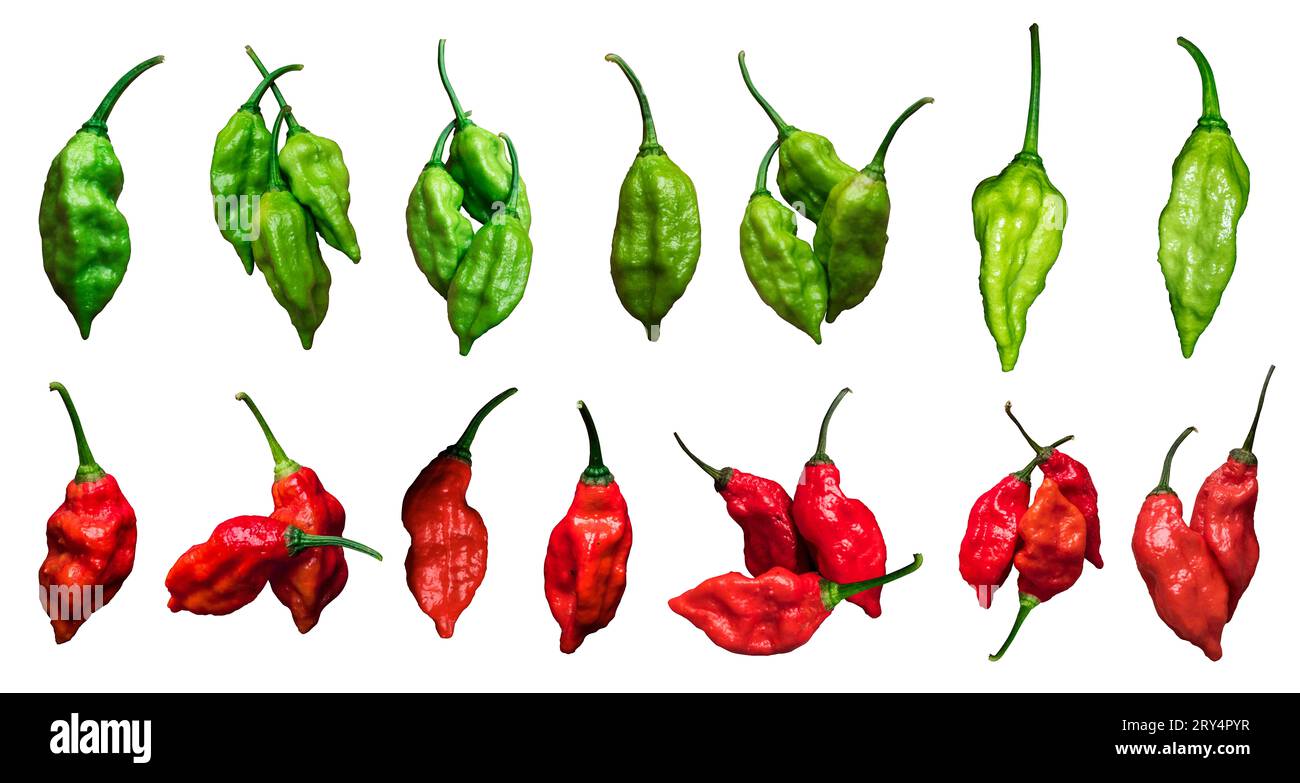 Red and green fresh chili peppers isolated on a white background, Set ...