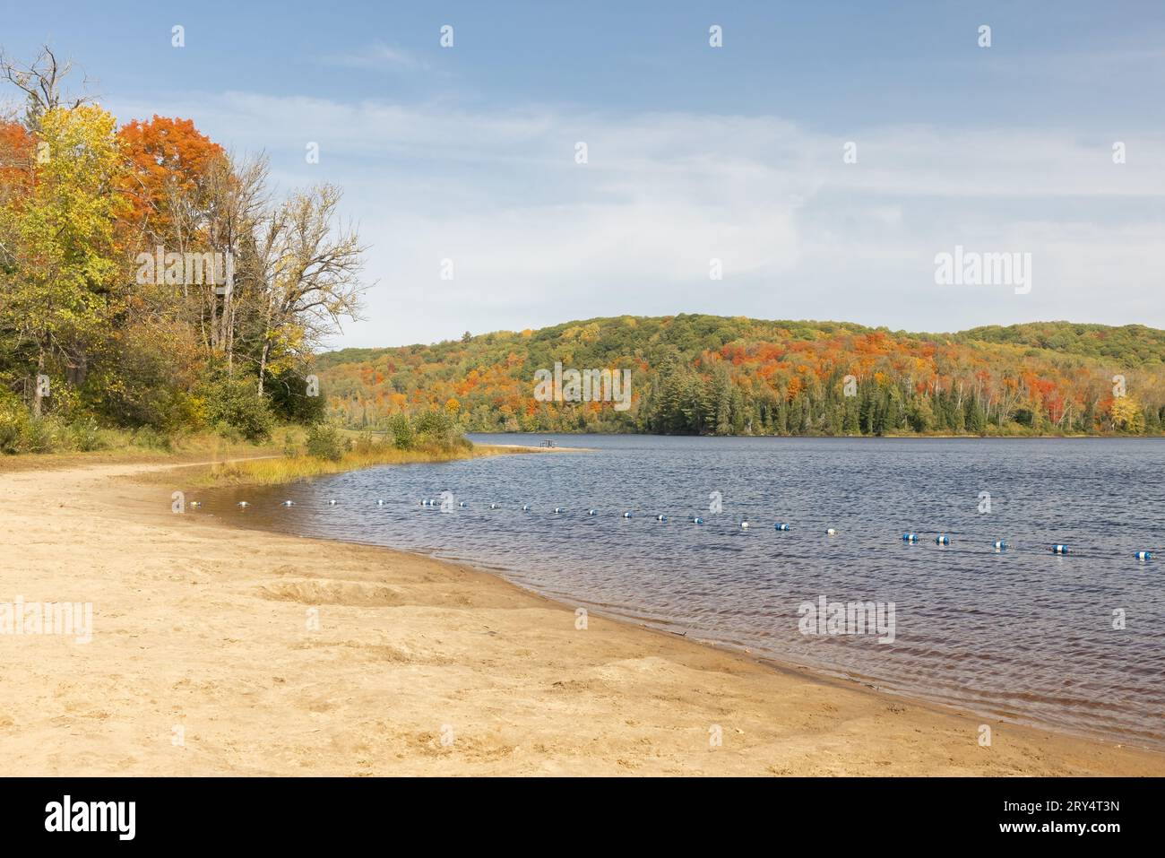 Colourful autumn leaves in the forest around Arrowhead Provincial Park Lake Stock Photo - Alamy