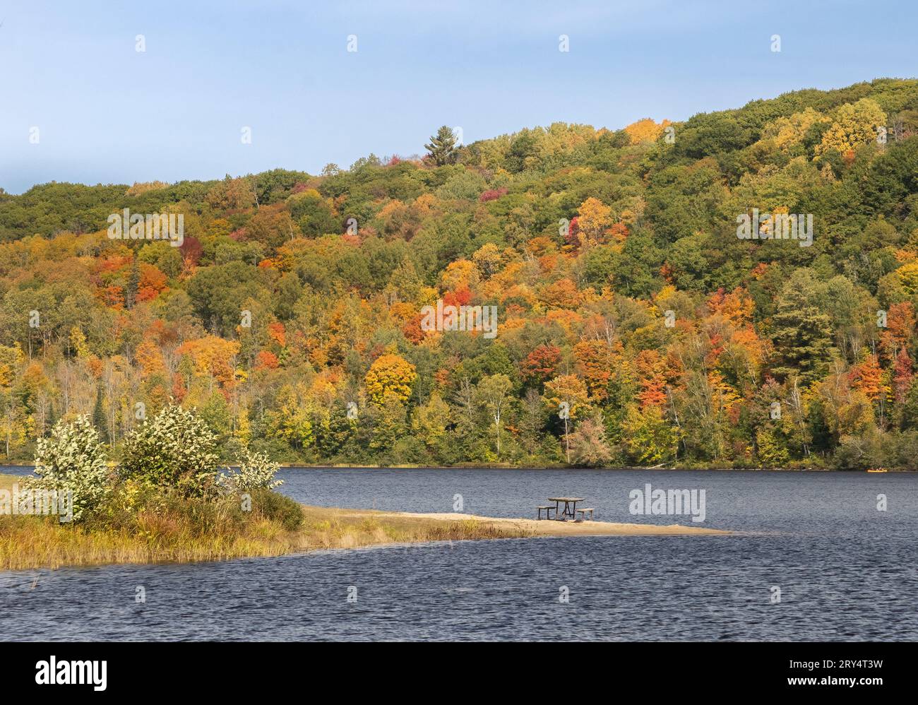 Colourful autumn leaves in the forest around Arrowhead Provincial Park Lake Stock Photo - Alamy