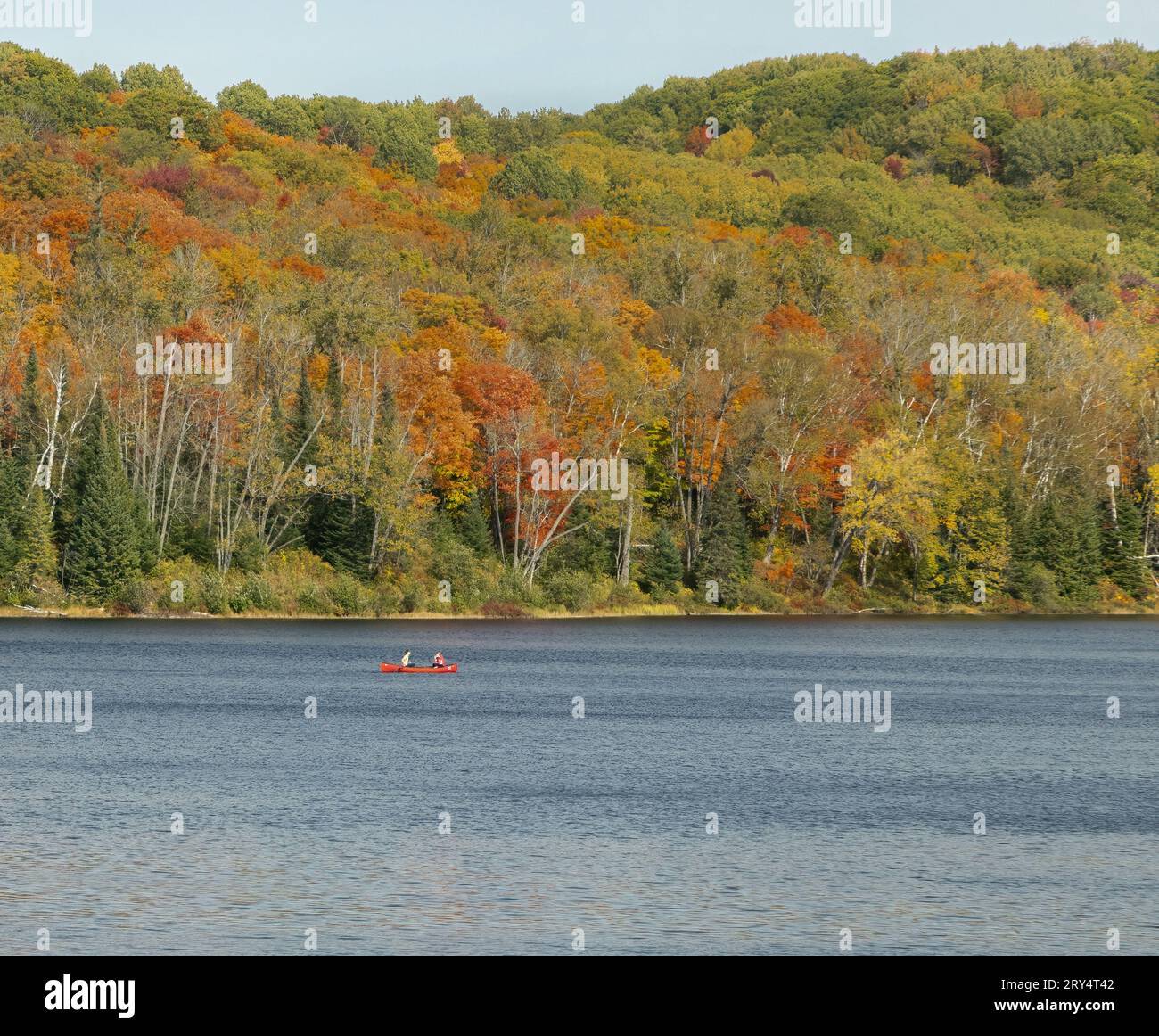 Colourful autumn leaves in the forest around Arrowhead Provincial Park Lake Stock Photo - Alamy