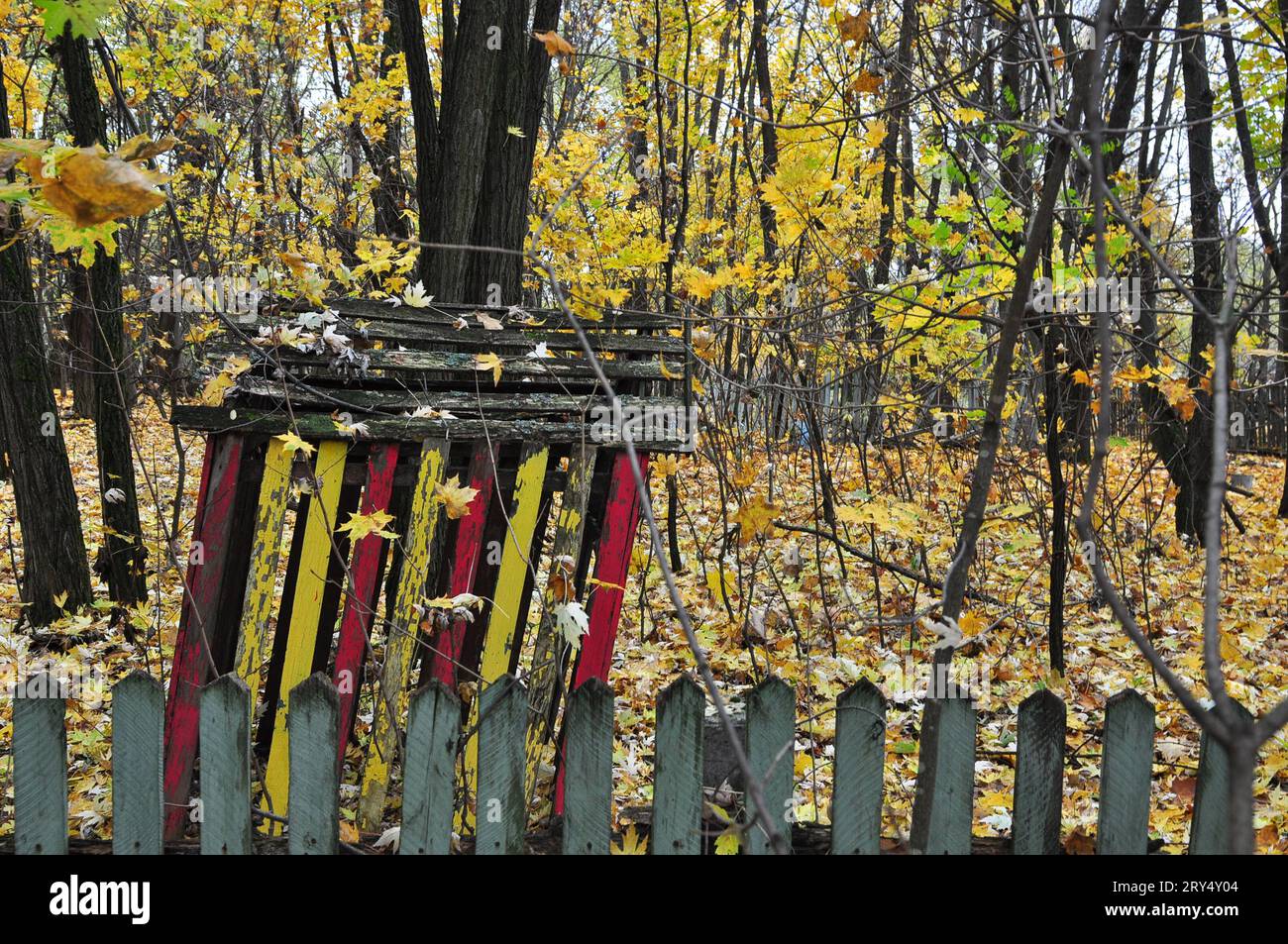 Chernobyl forest hi-res stock photography and images - Alamy