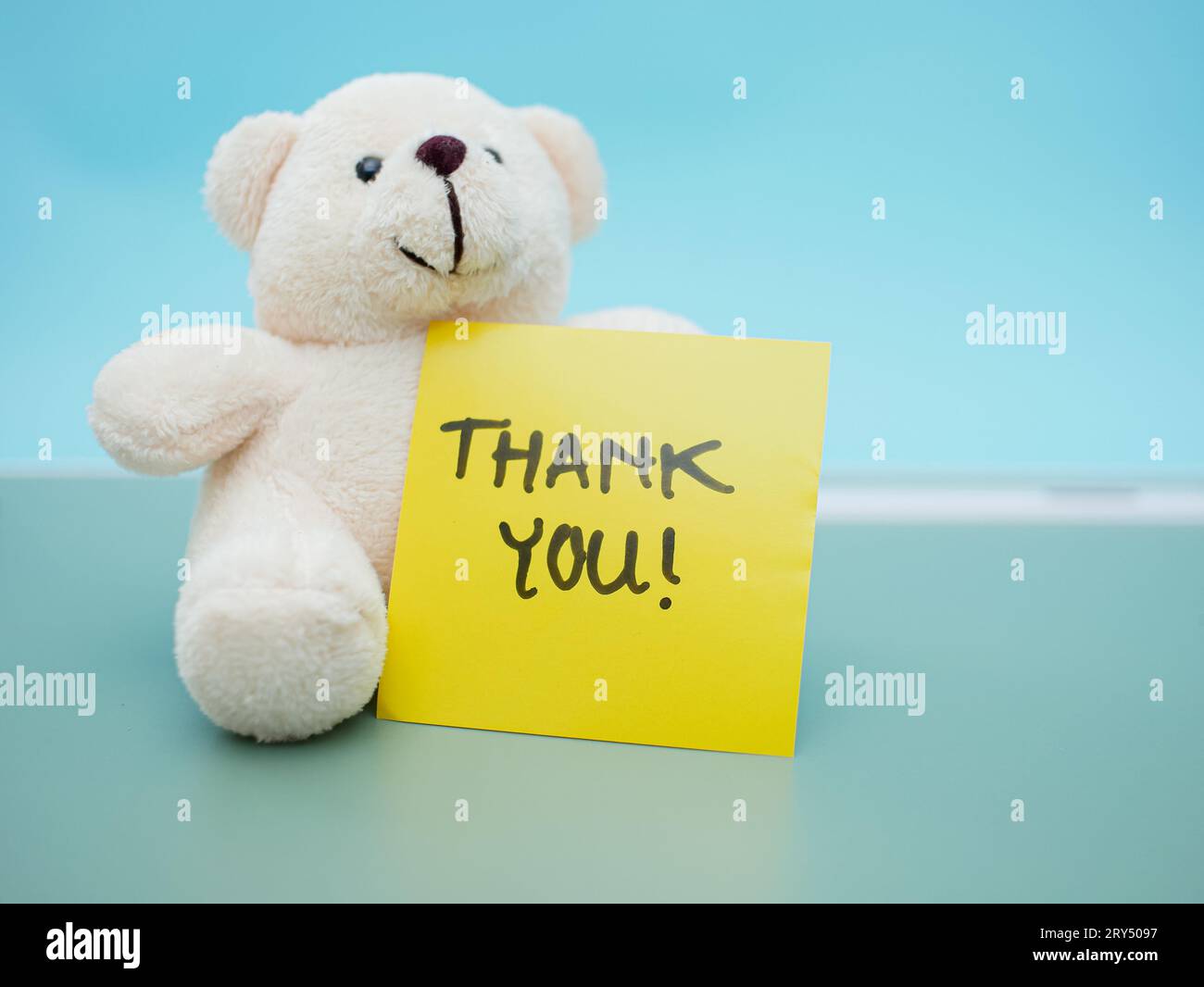 words thank you written on a sticky note with a white teddy bear beside ...