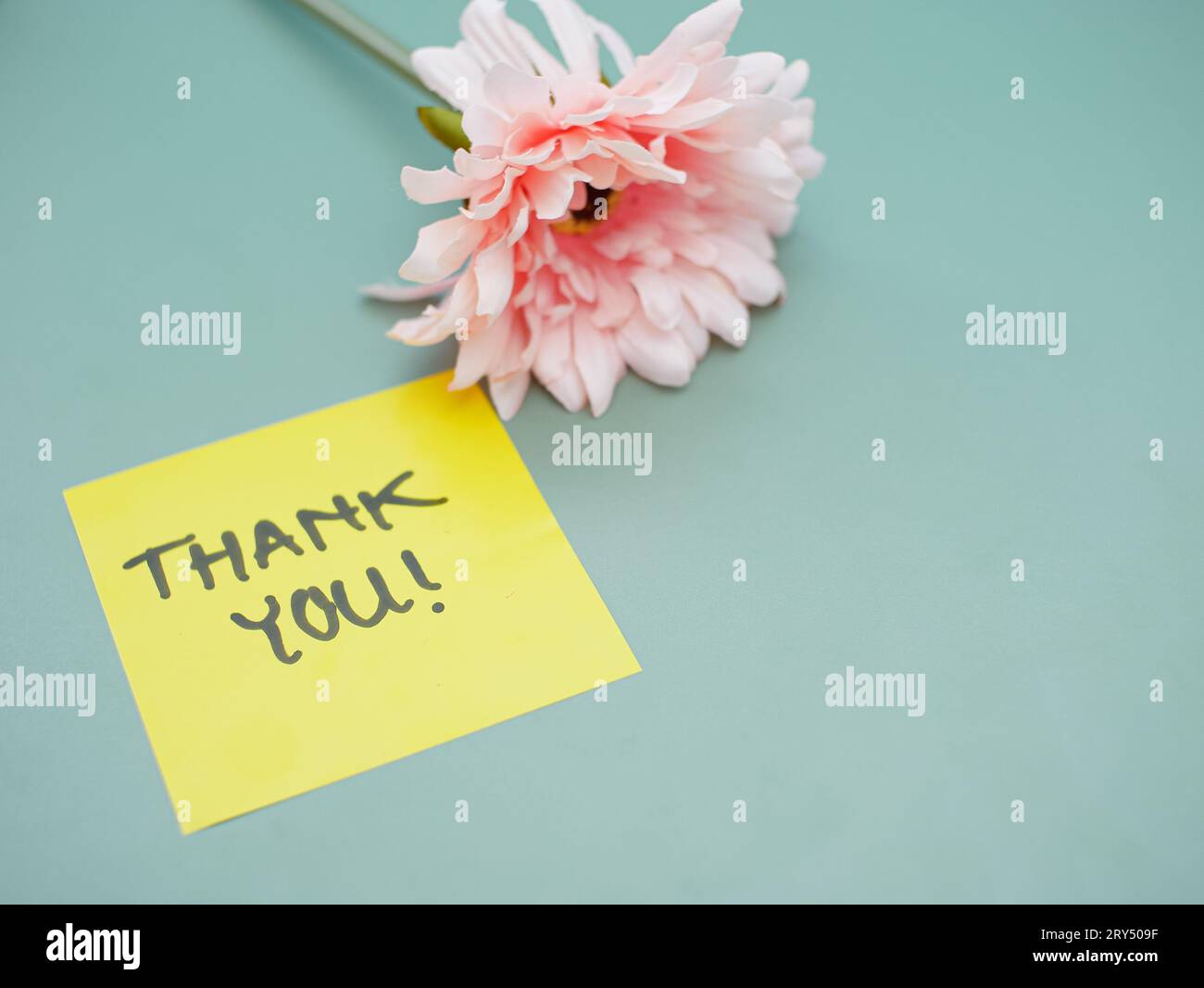 Top view of words thank you written on sticky note with flowers beside ...