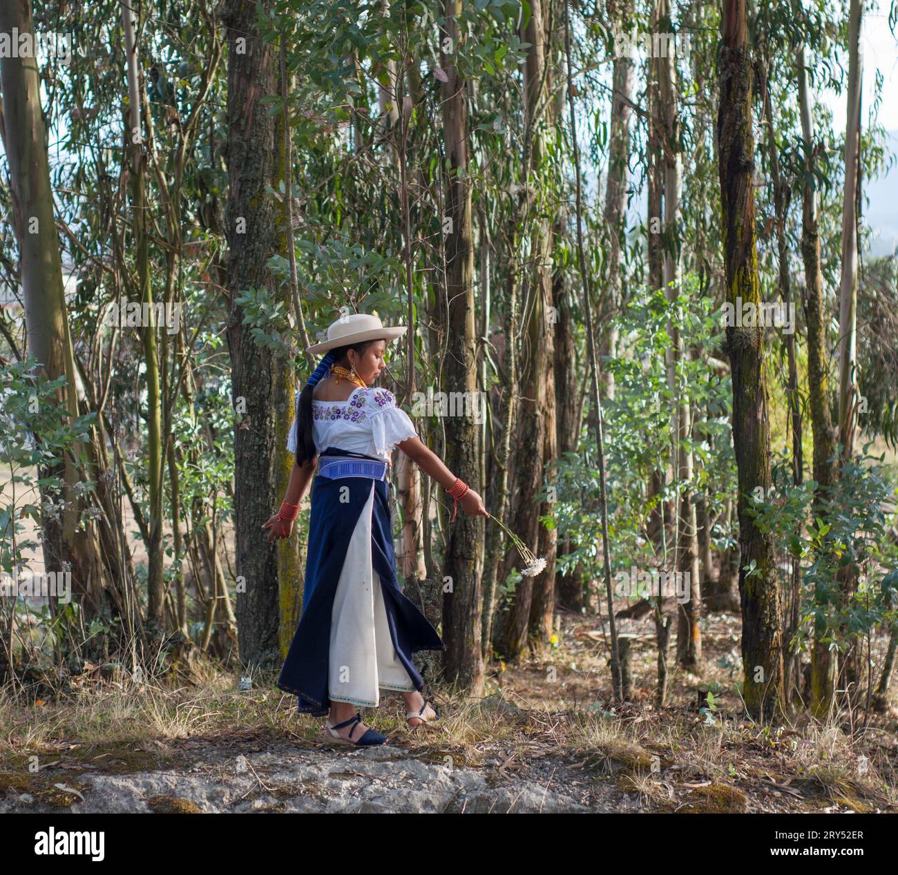 Indigenous christmas traditions hi-res stock photography and images - Alamy