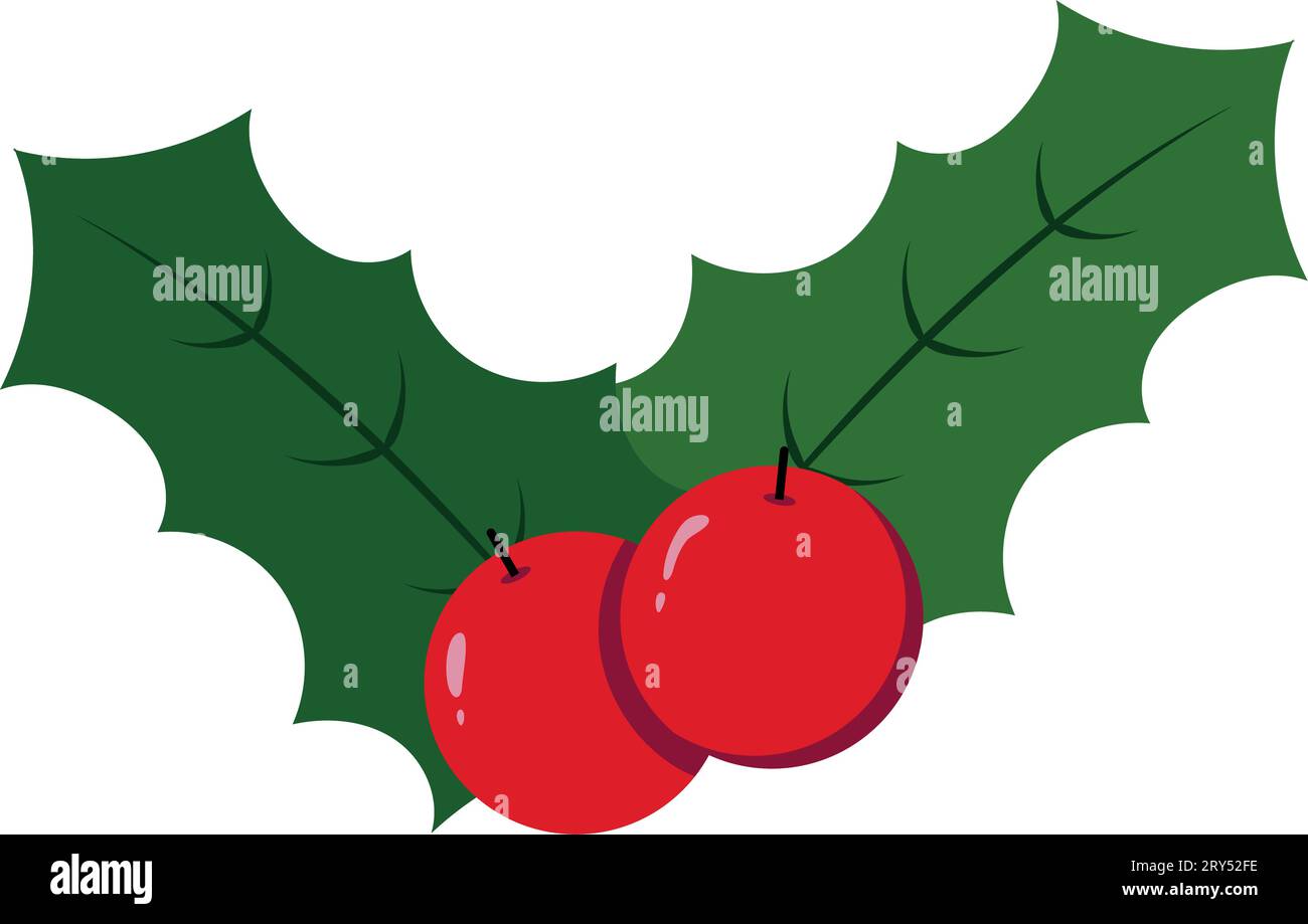 christmas mistletoe illustration Stock Vector Image & Art - Alamy