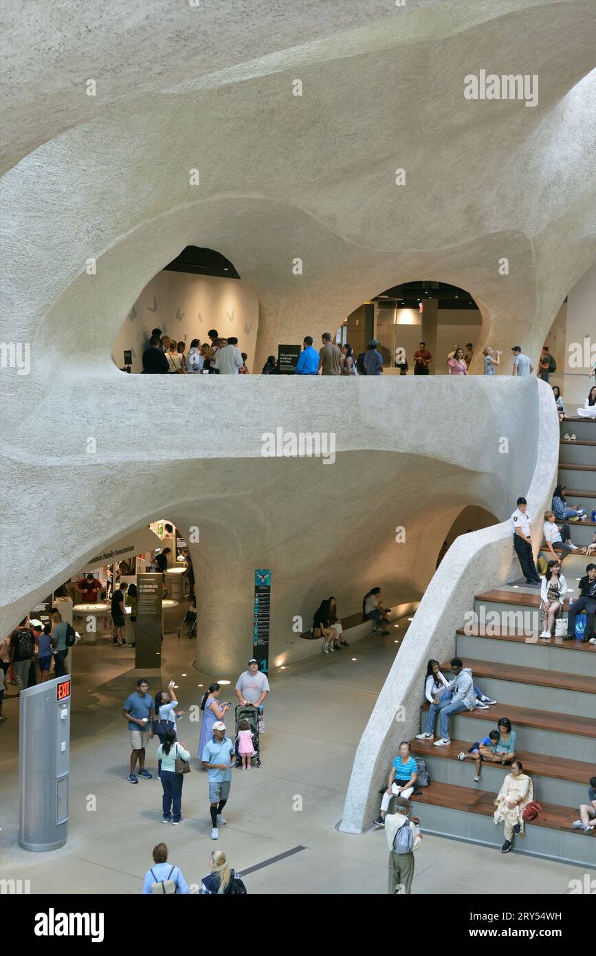 Richard gilder center hi-res stock photography and images - Alamy