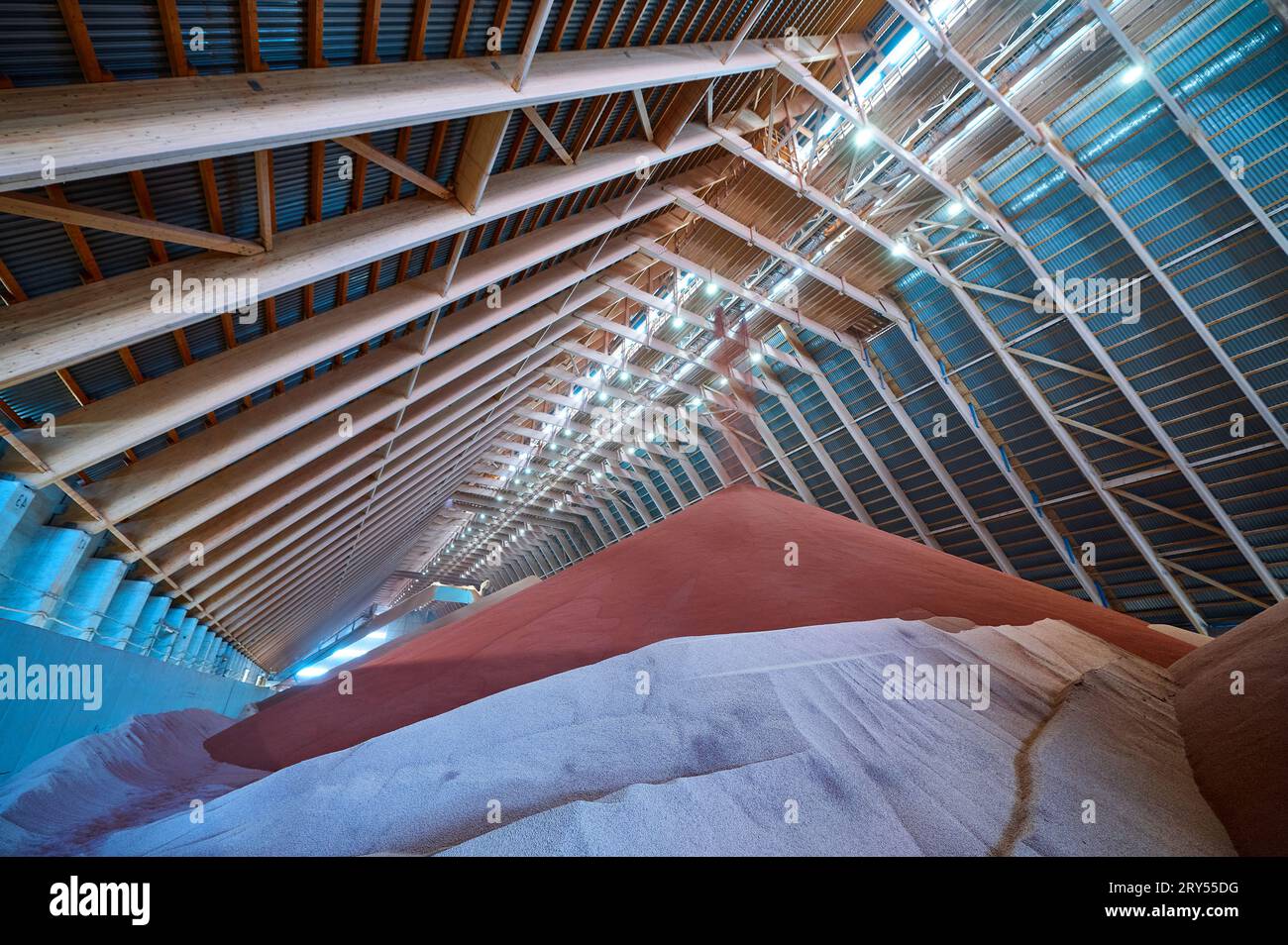 High pile of red color potassium fertilizers in storehouse Stock Photo ...