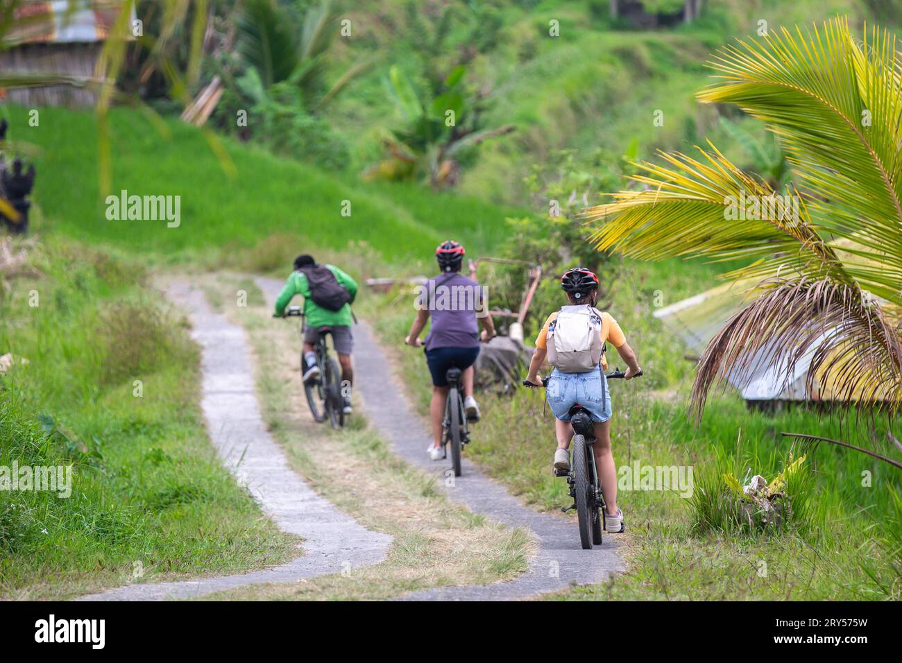 A group of people riding bicycles on a trail on an exotic island Stock ...