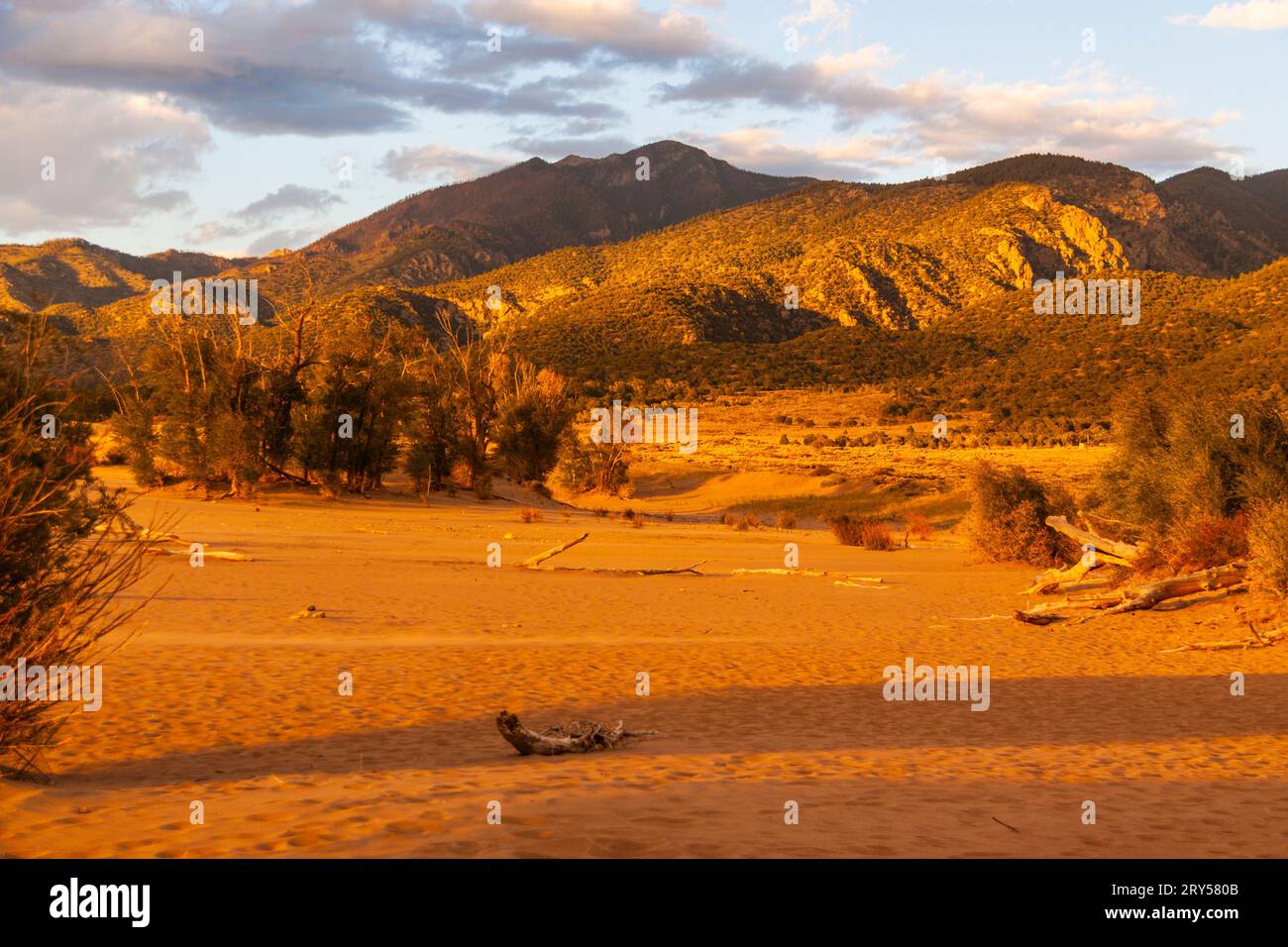 Great Sand Dunes National Park in Colorado at Sunset with strong wind ...