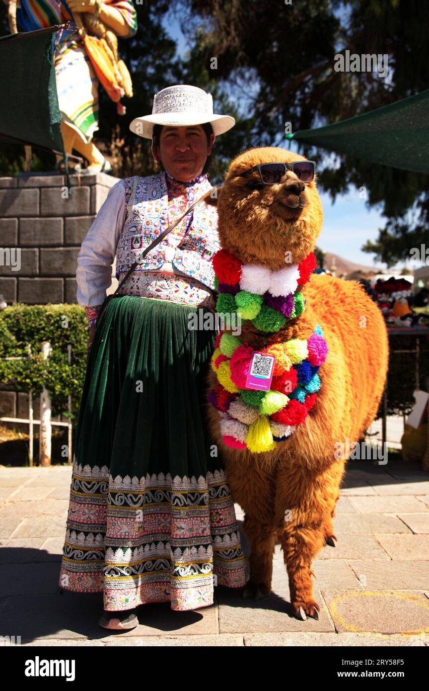 Portrait of Peruvian woman in traditional costume with alpaca Stock ...