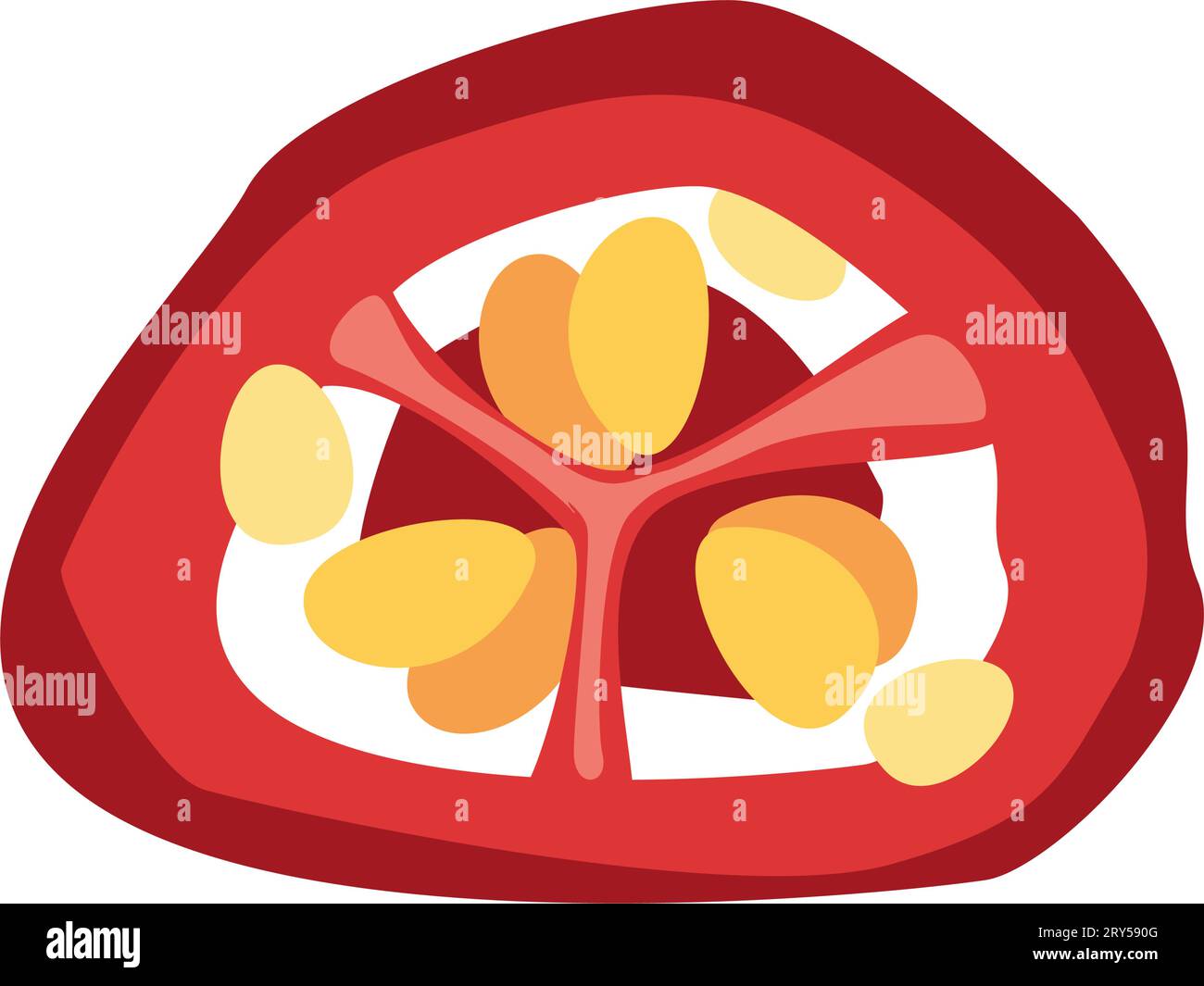 Red hot chili seed Stock Vector Images - Alamy