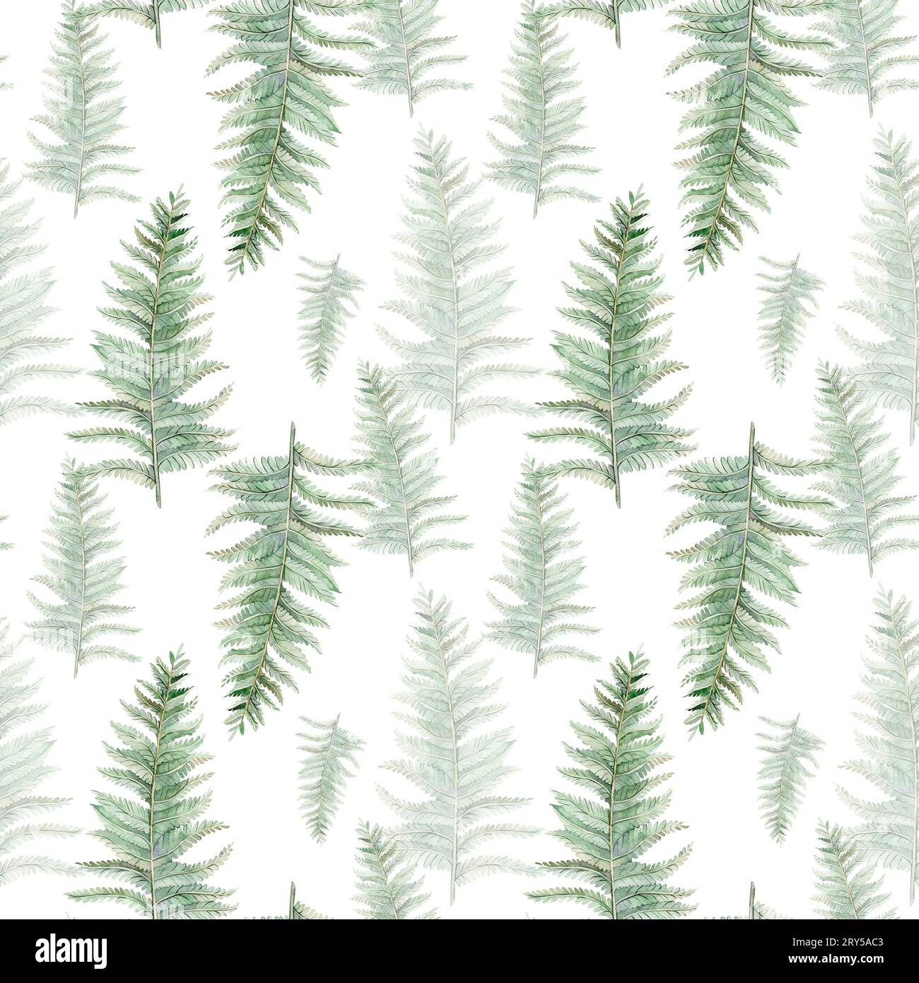 Watercolor seamless pattern with fern Stock Photo - Alamy