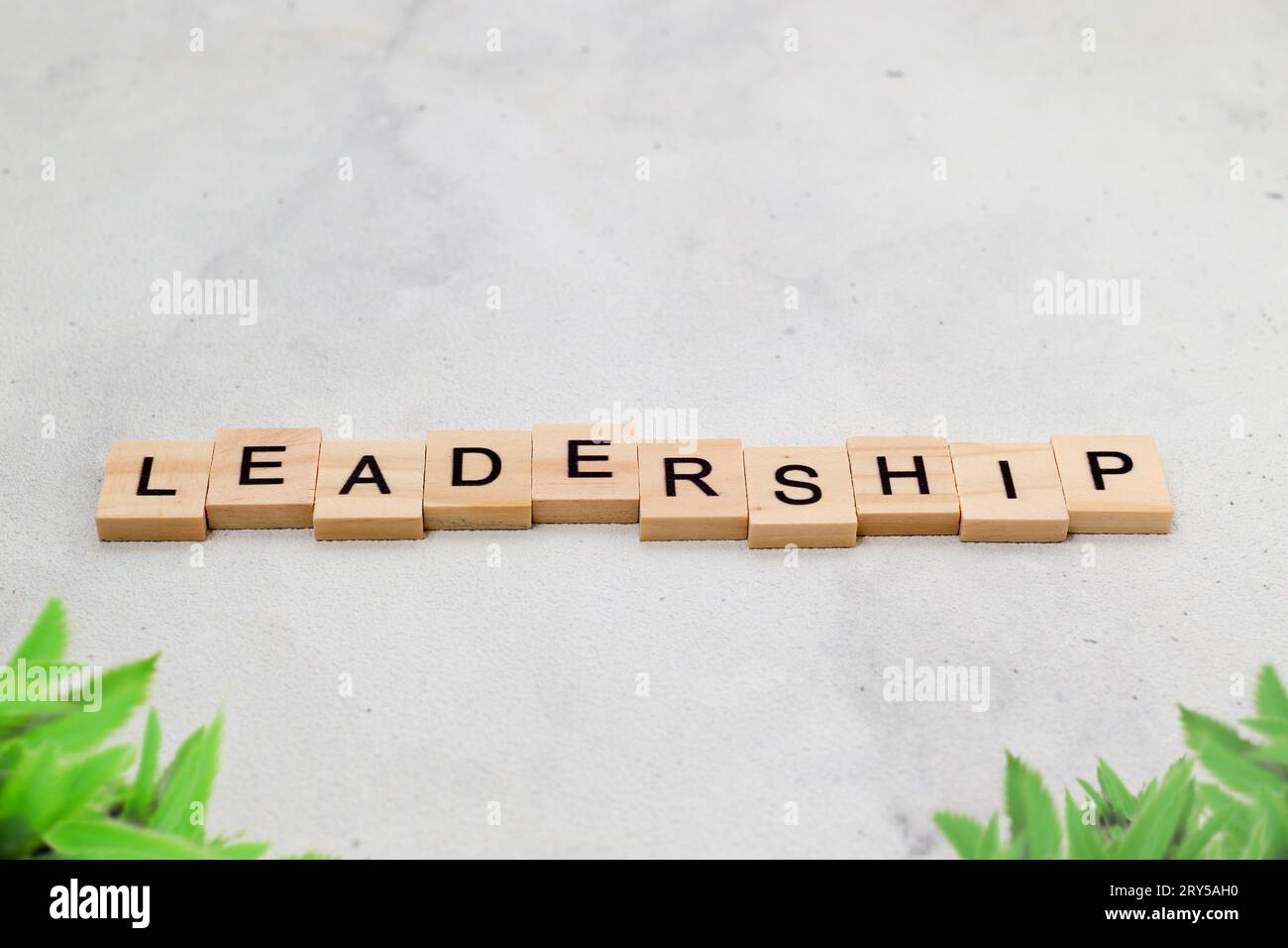 Top view of Leadership word on wooden cube letter block on white ...