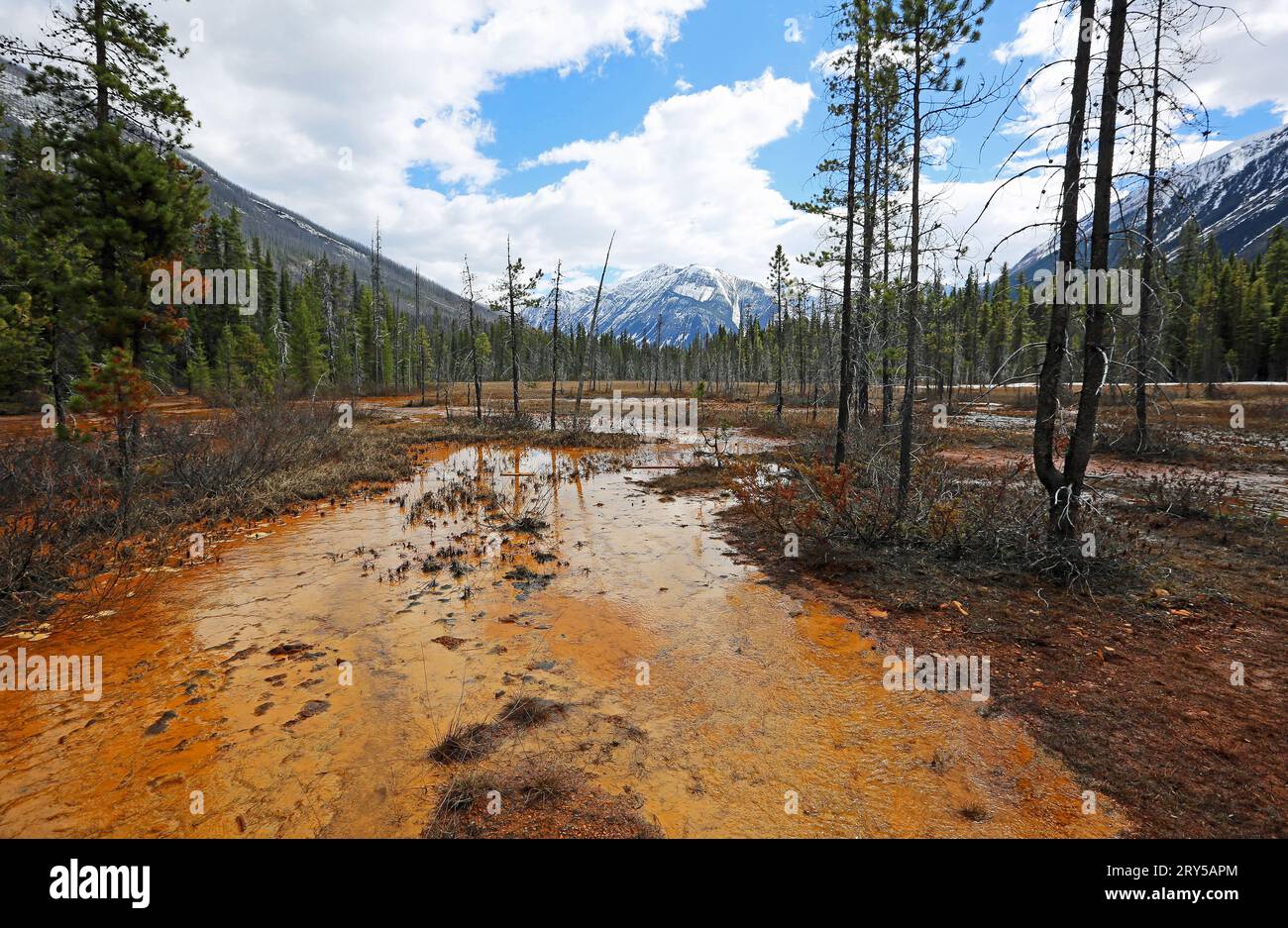 Ochre formation hi-res stock photography and images - Alamy