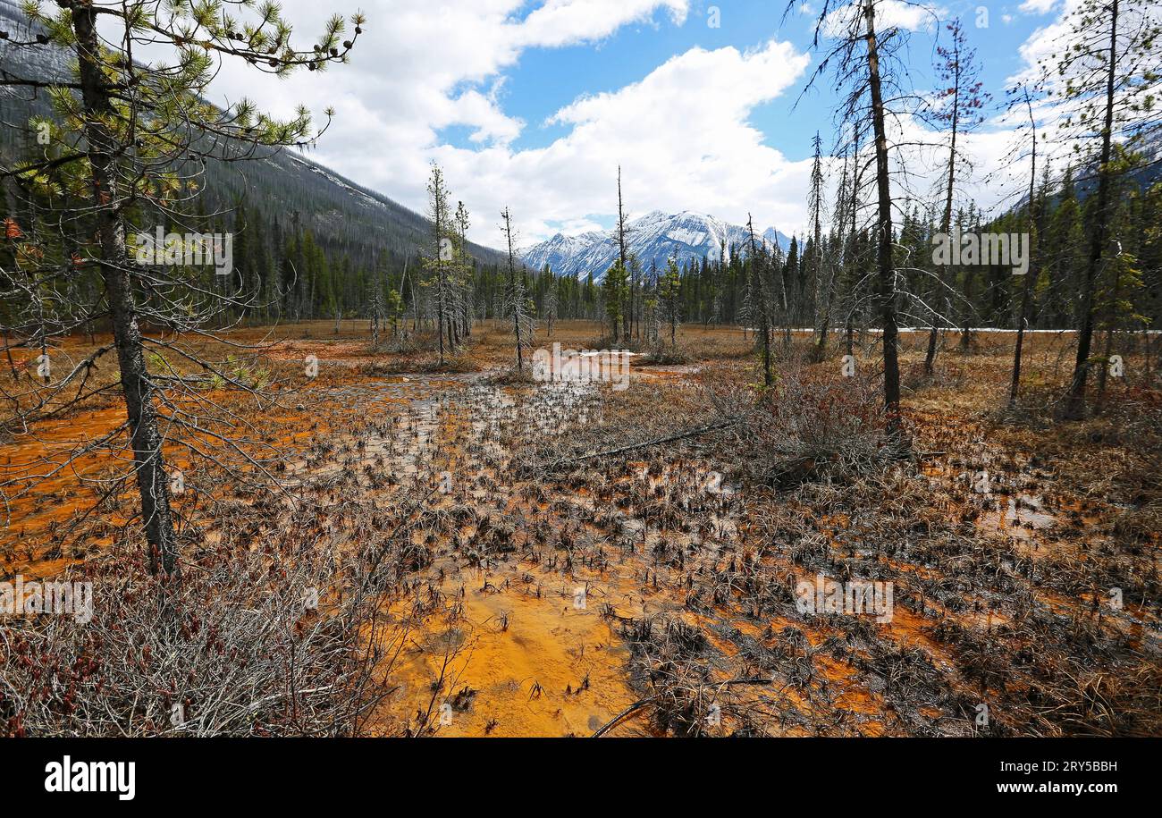 Ochre mud hi-res stock photography and images - Alamy