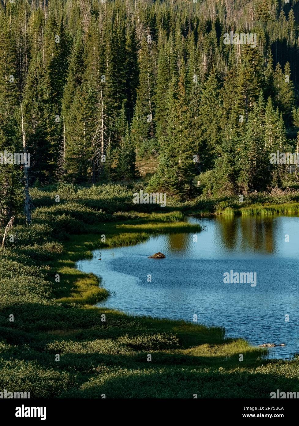 Shown is an alpine lake in the Snowy Mountain Range in the Medicone Bow ...